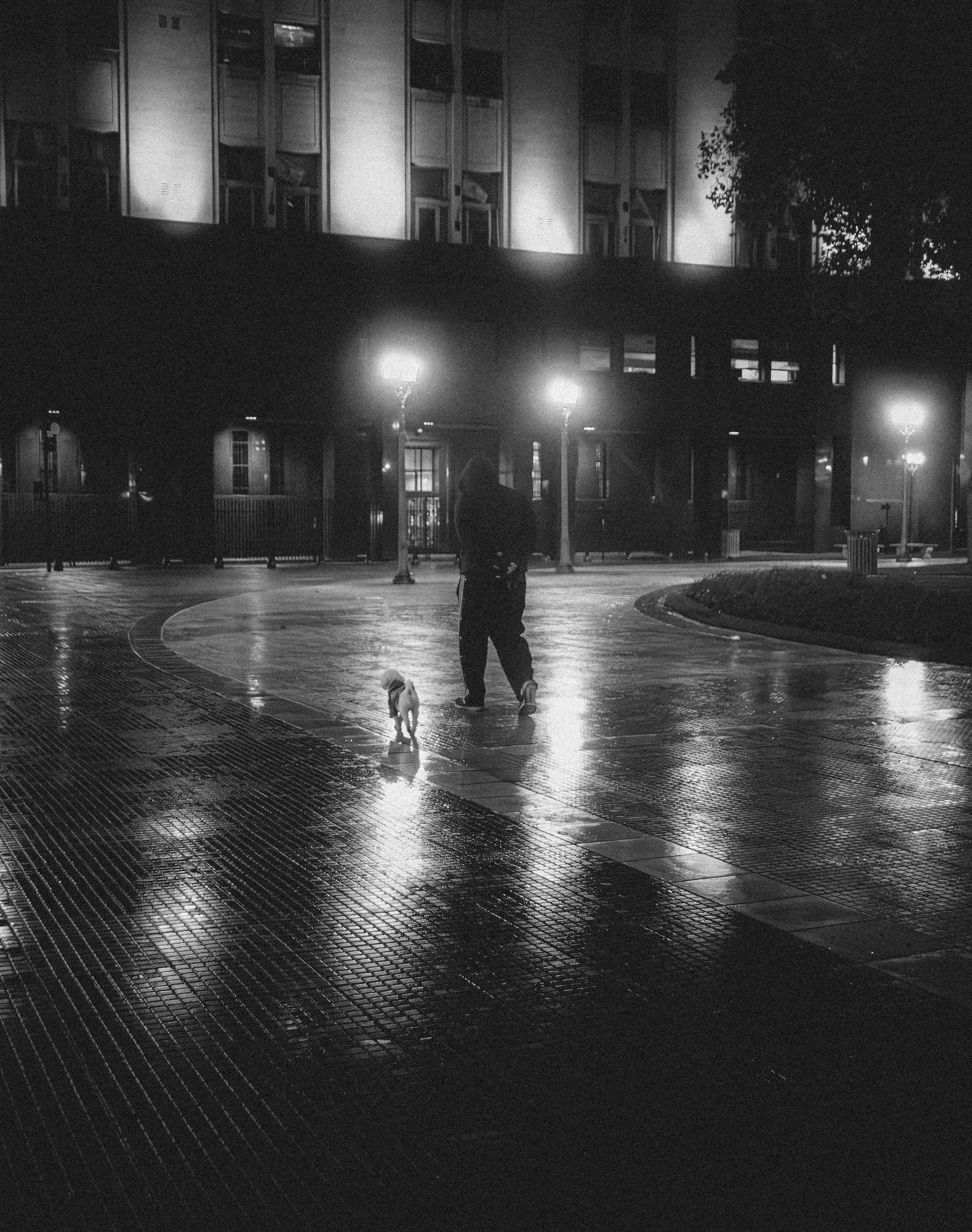 Nighttime Walk on Rainy City Street · Free Stock Photo
