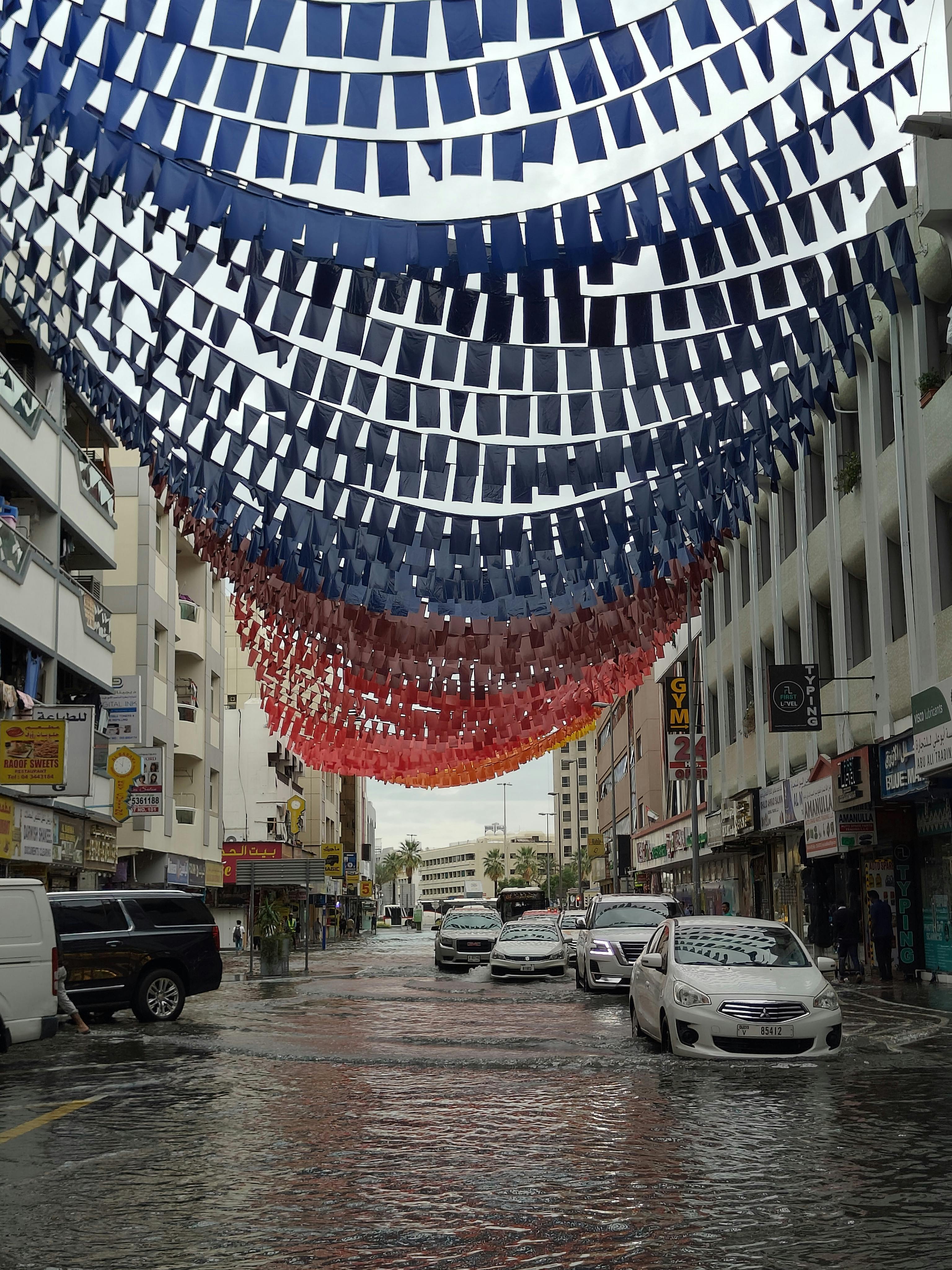 Persion Photos, Download The BEST Free Persion Stock Photos & HD Images