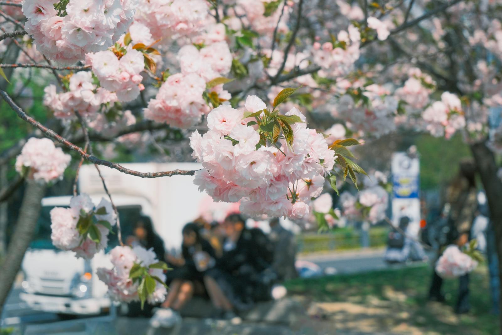 Tokyo Background Photos, Download The BEST Free Tokyo Background Stock ...