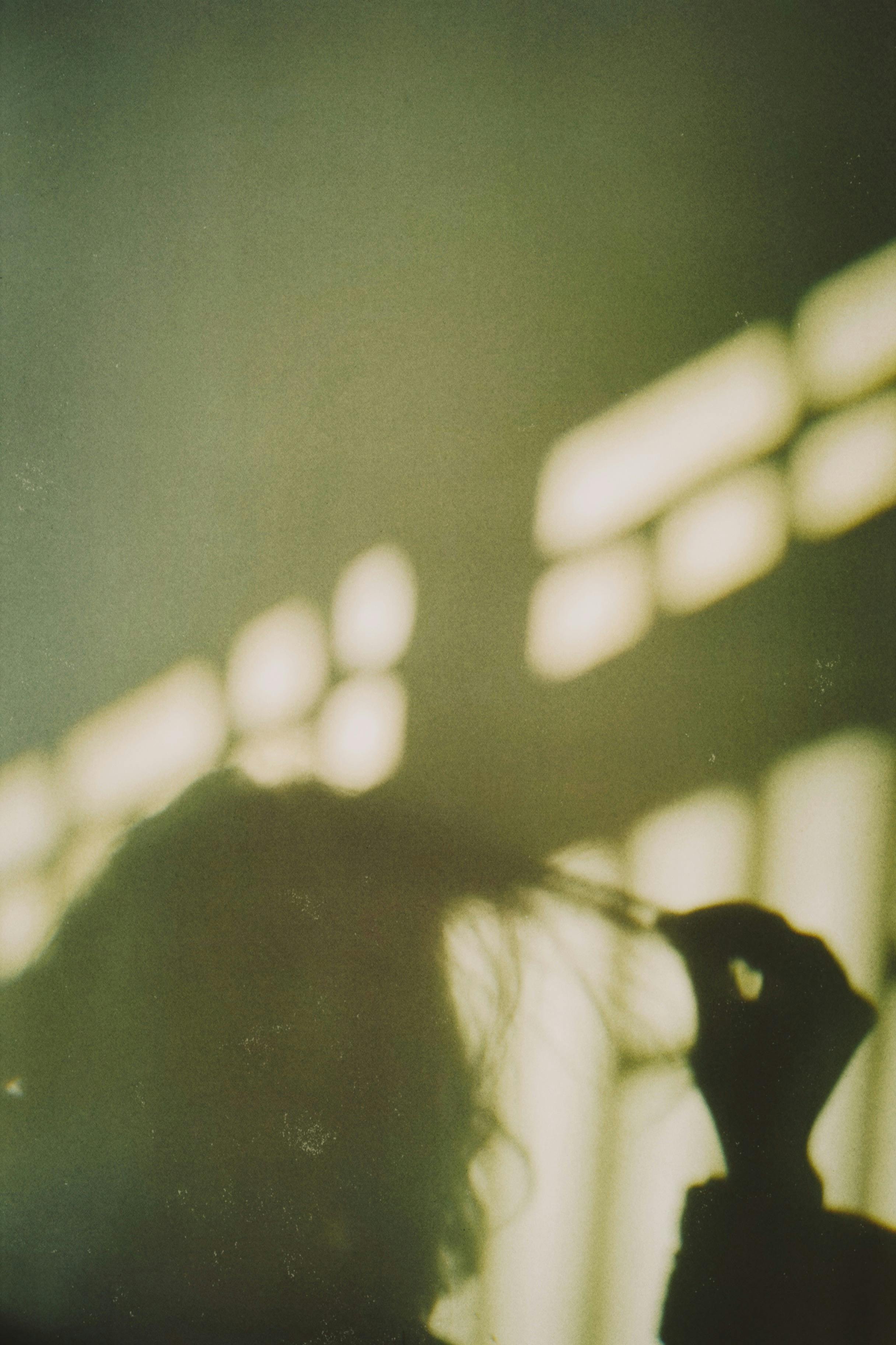 Artistic Shadow Silhouette on a Wall · Free Stock Photo