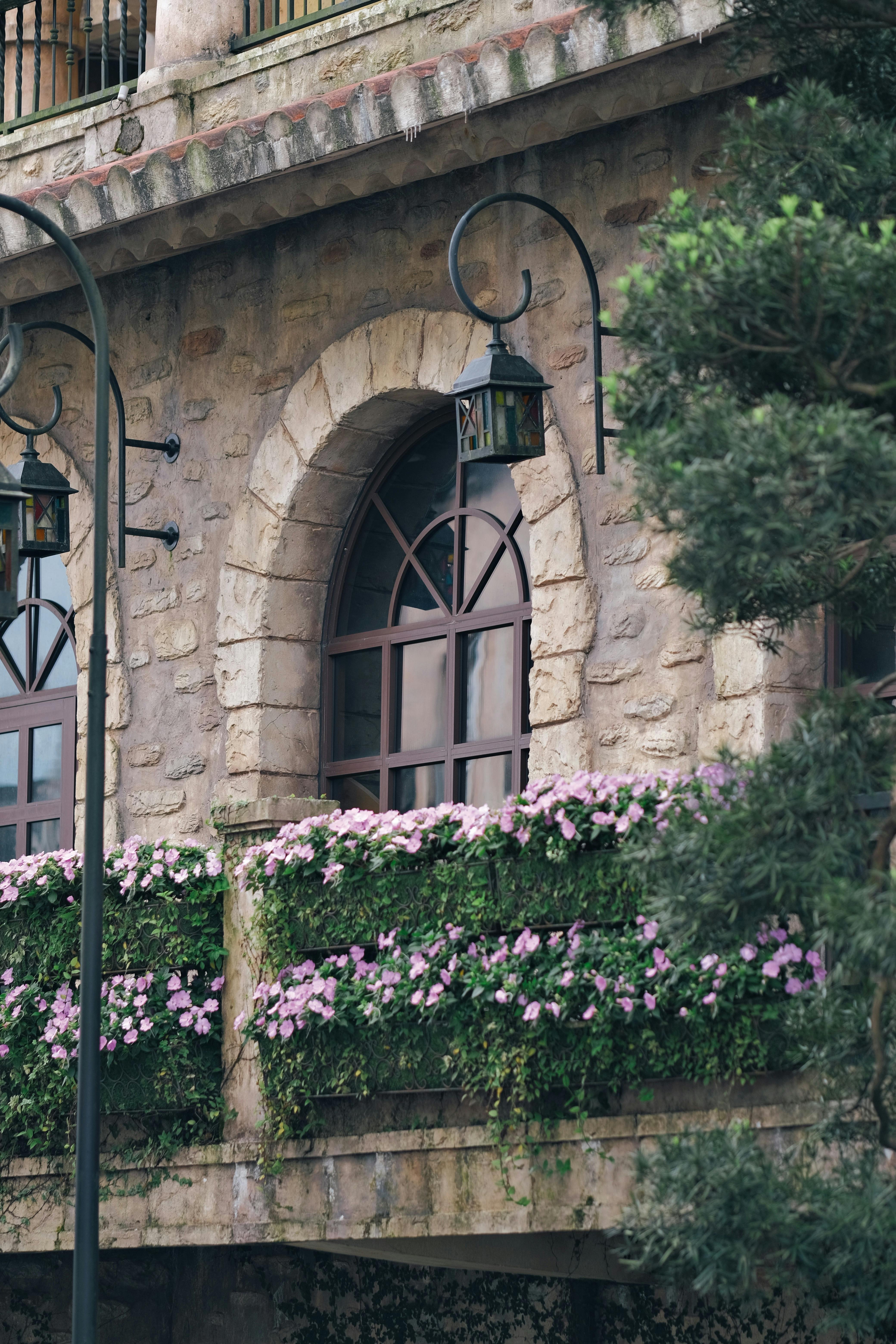 Iron+Cheetah Photos, Download The BEST Free Iron+Cheetah Stock Photos ...