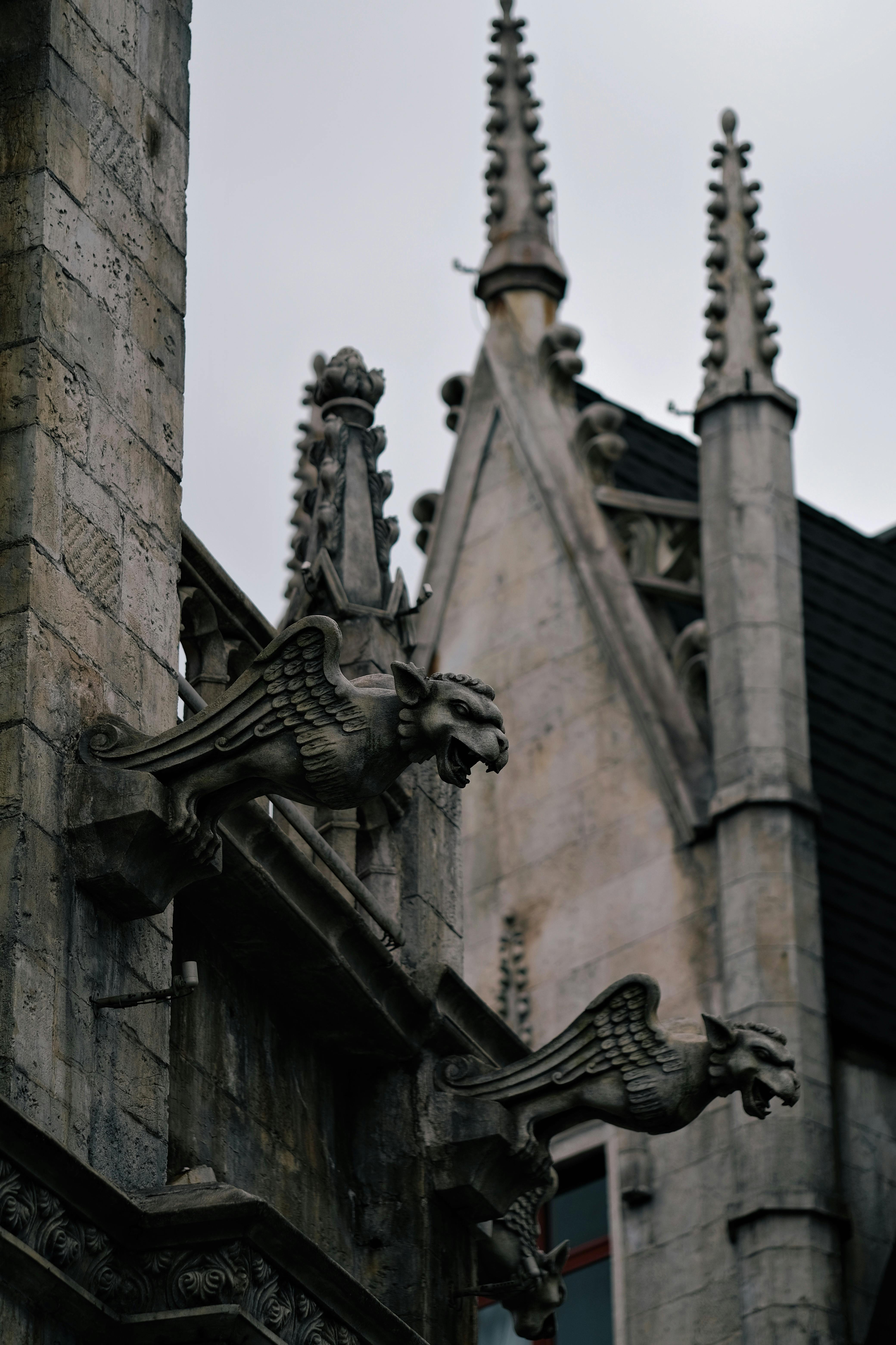 Gothic Cathedral Gargoyles on Stone Facade · Free Stock Photo