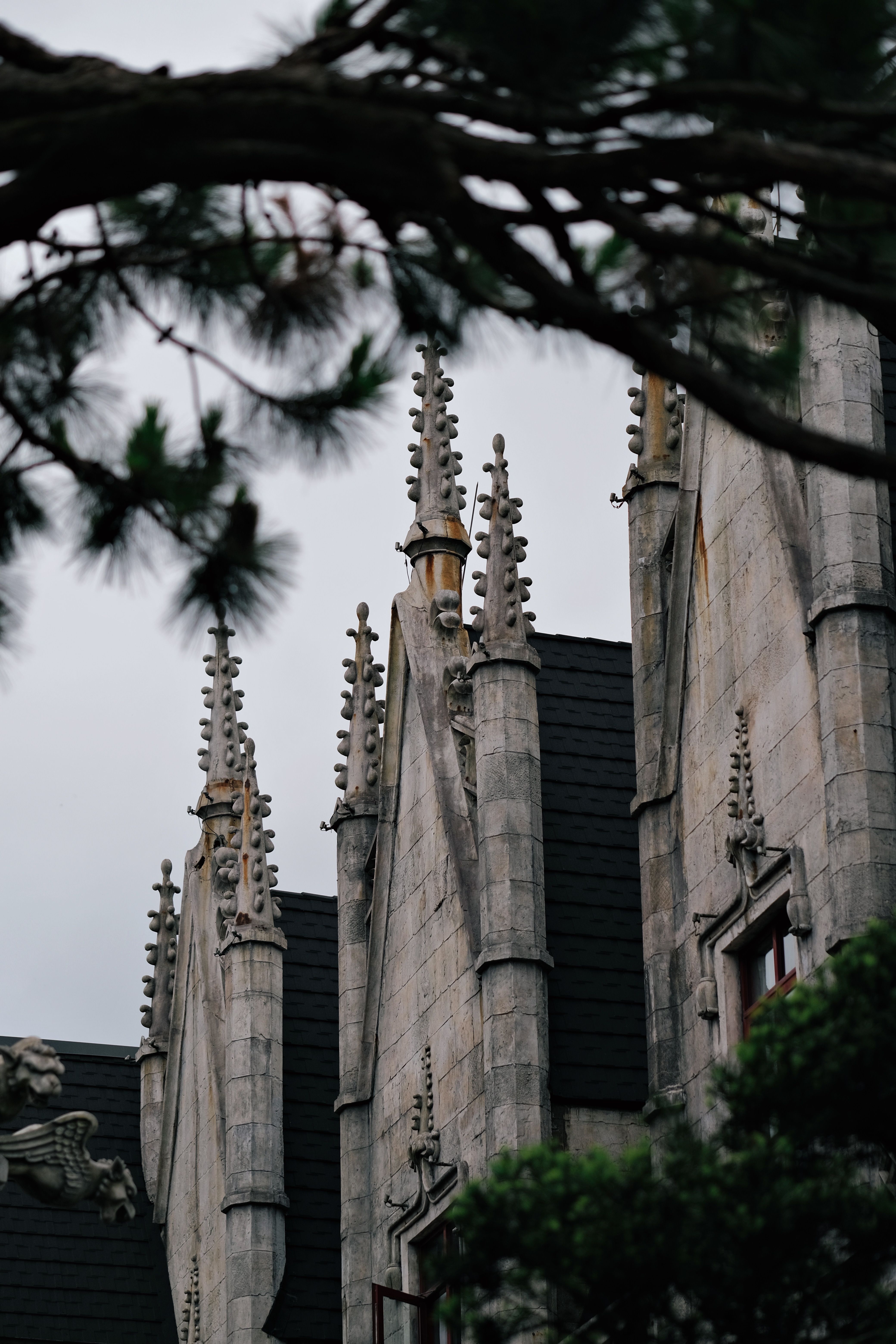 Gothic Architecture with Tree Silhouettes · Free Stock Photo