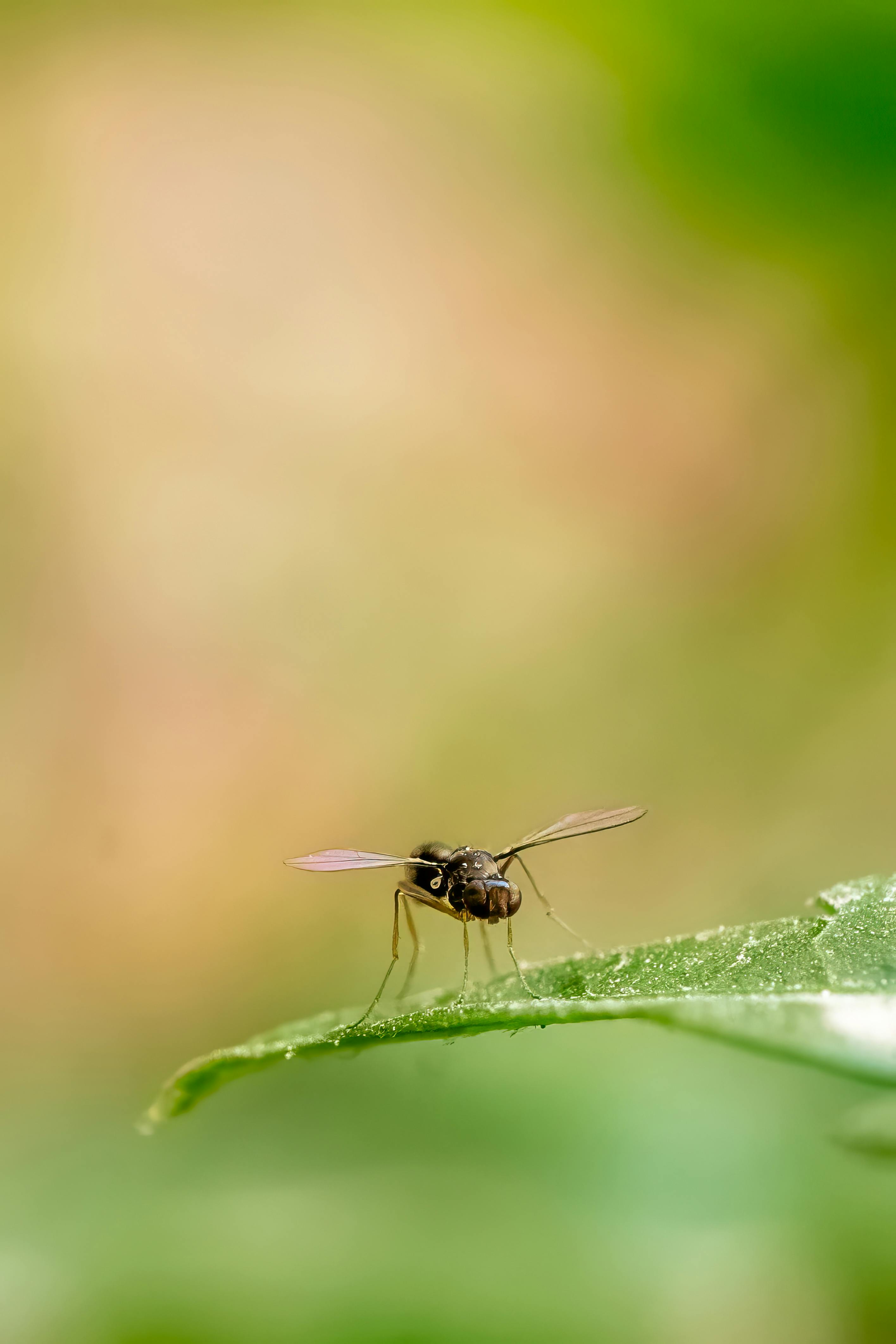 Life Levels Photos, Download The BEST Free Life Levels Stock Photos ...