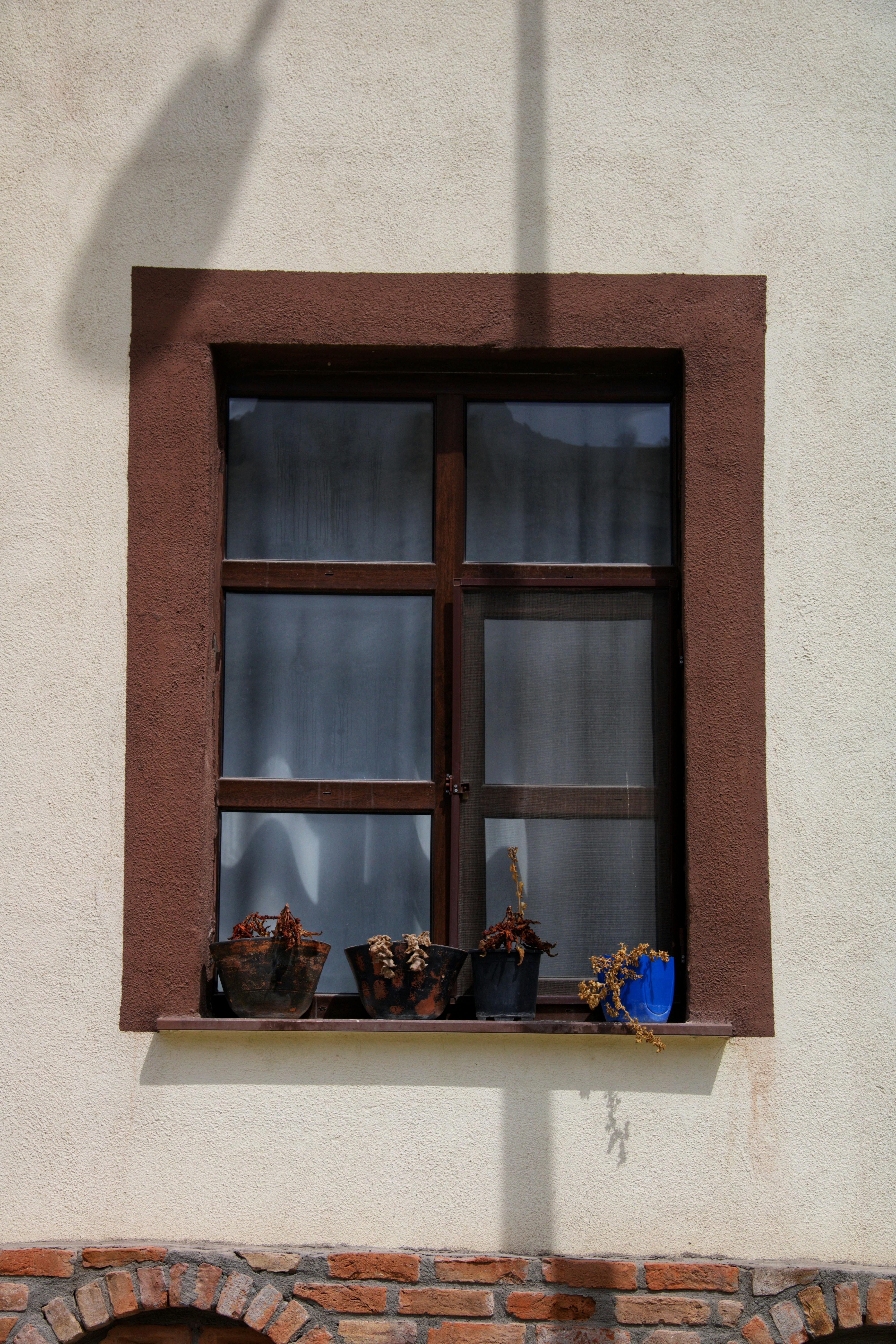 Window Frame Photos, Download The BEST Free Window Frame Stock Photos ...