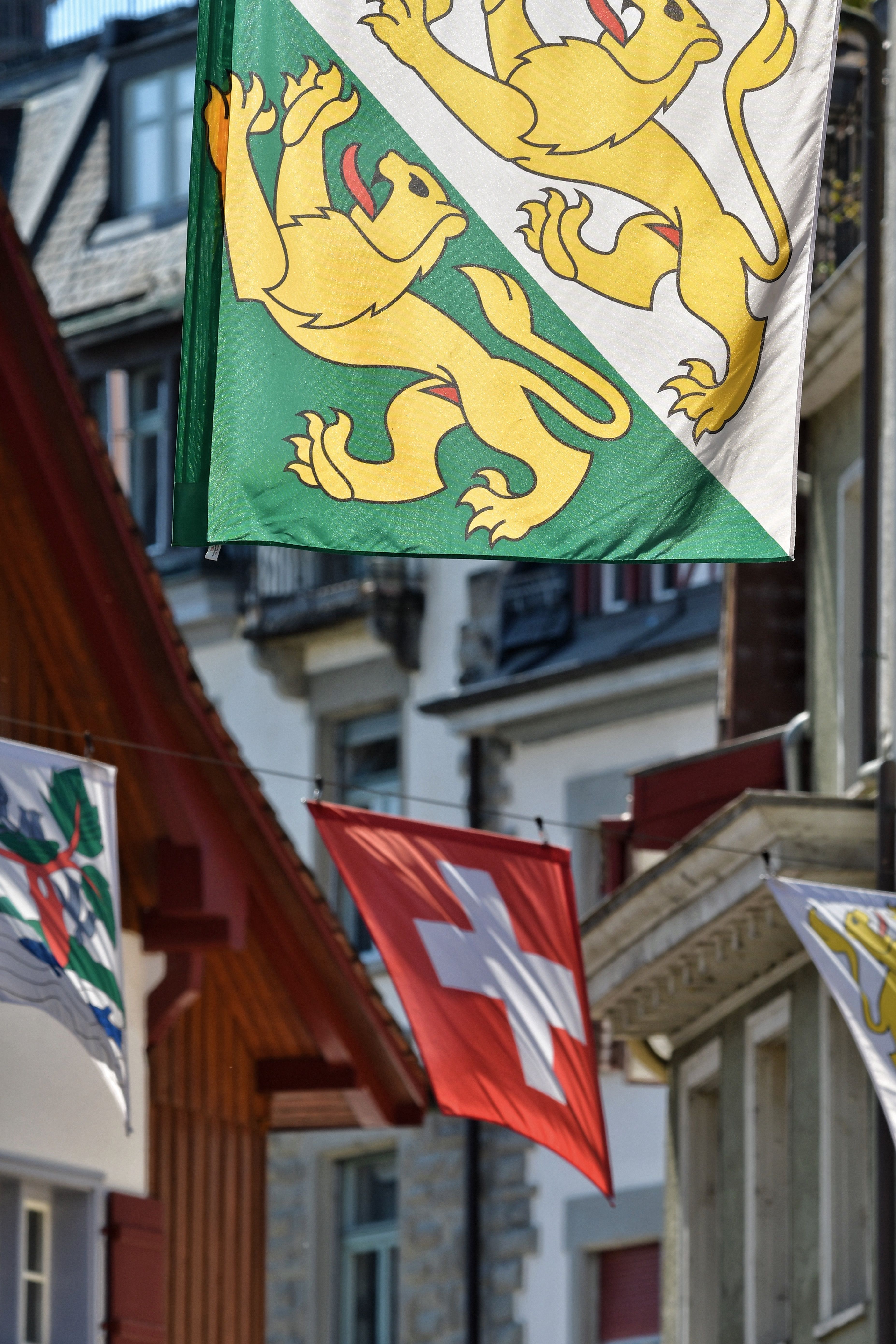 Swiss and European Flags in Idyllic Village · Free Stock Photo