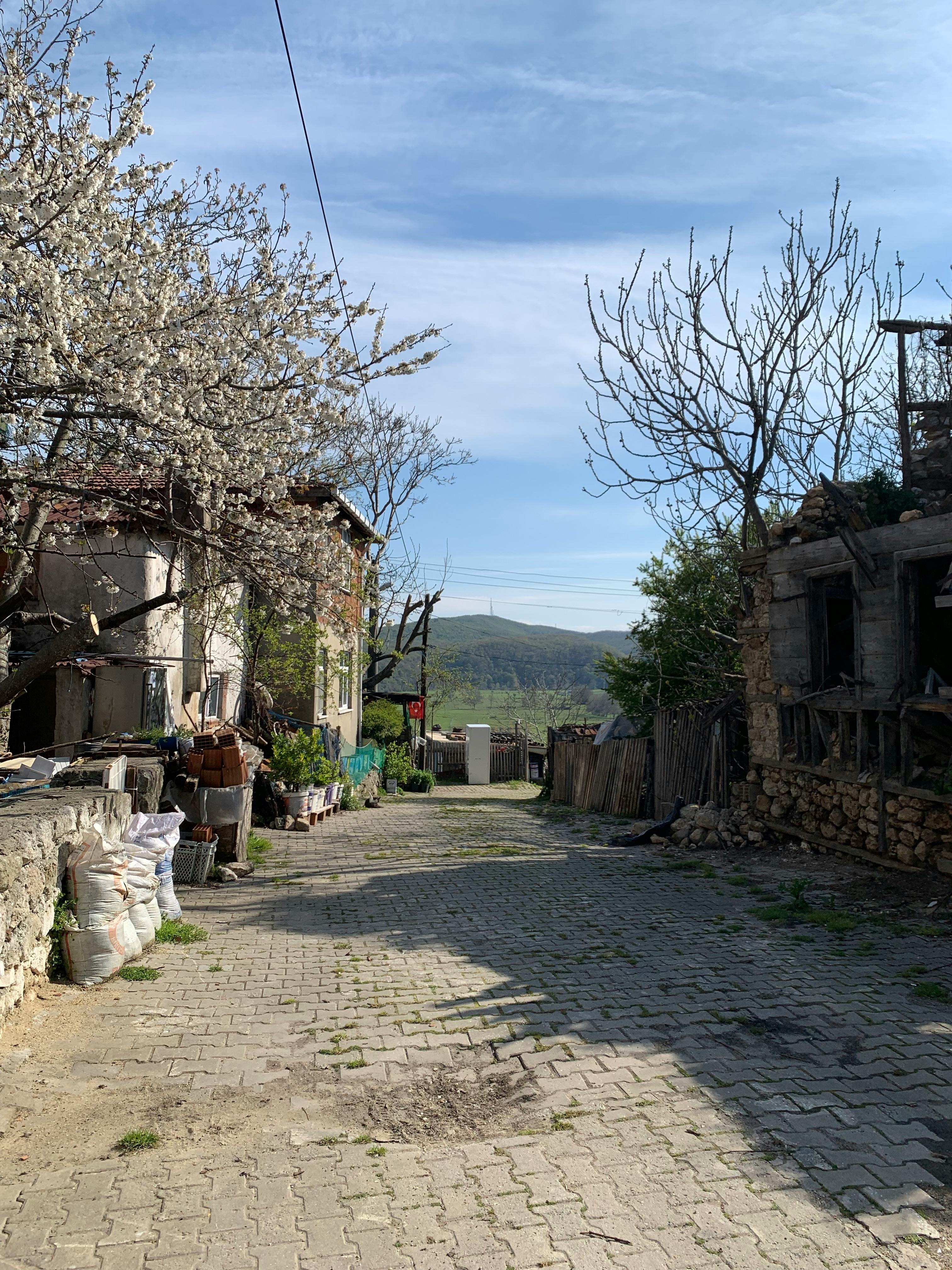 Yettel Bulgaria Photos, Download The BEST Free Yettel Bulgaria Stock ...