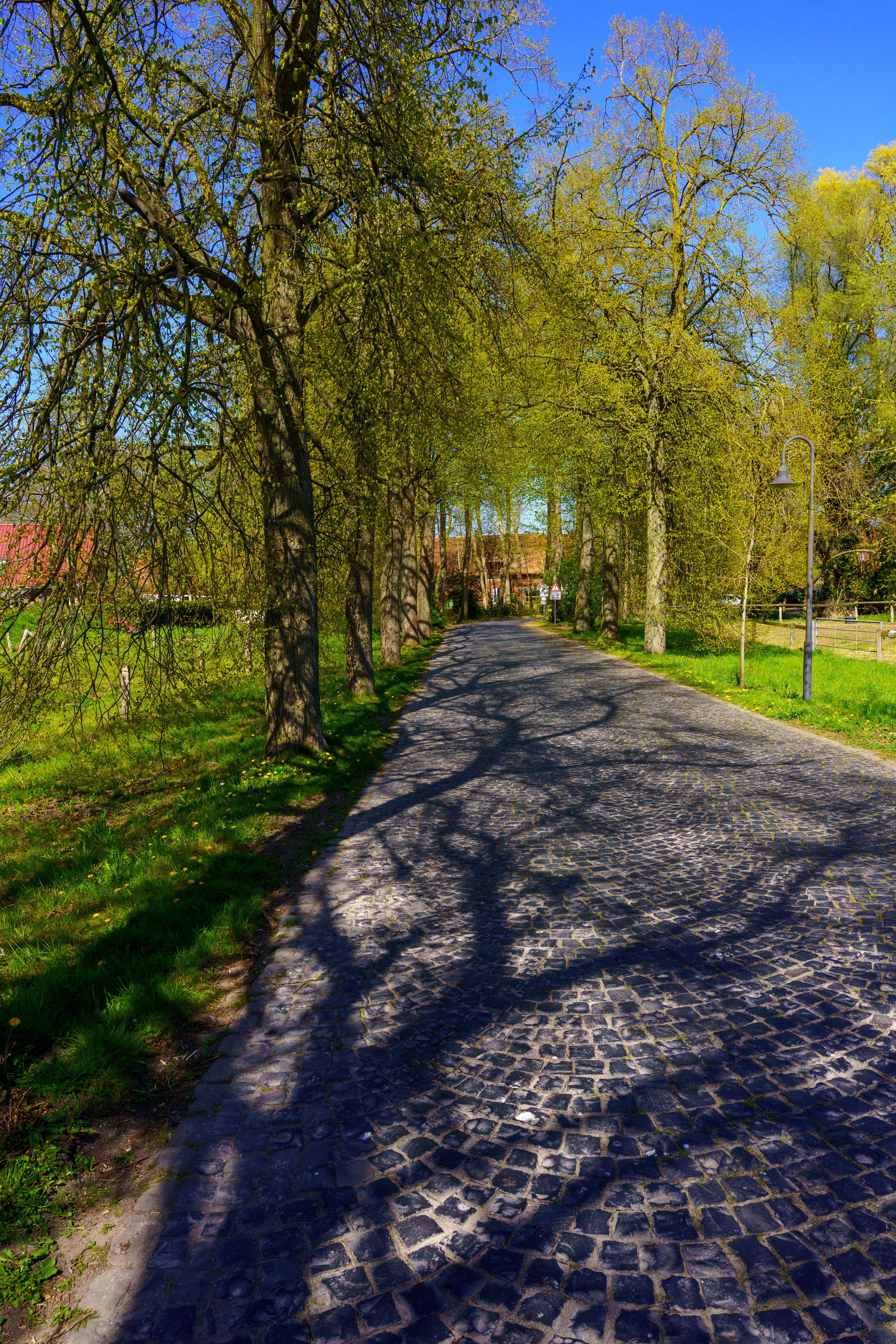 Charming Cobblestone Path in Springtime · Free Stock Photo