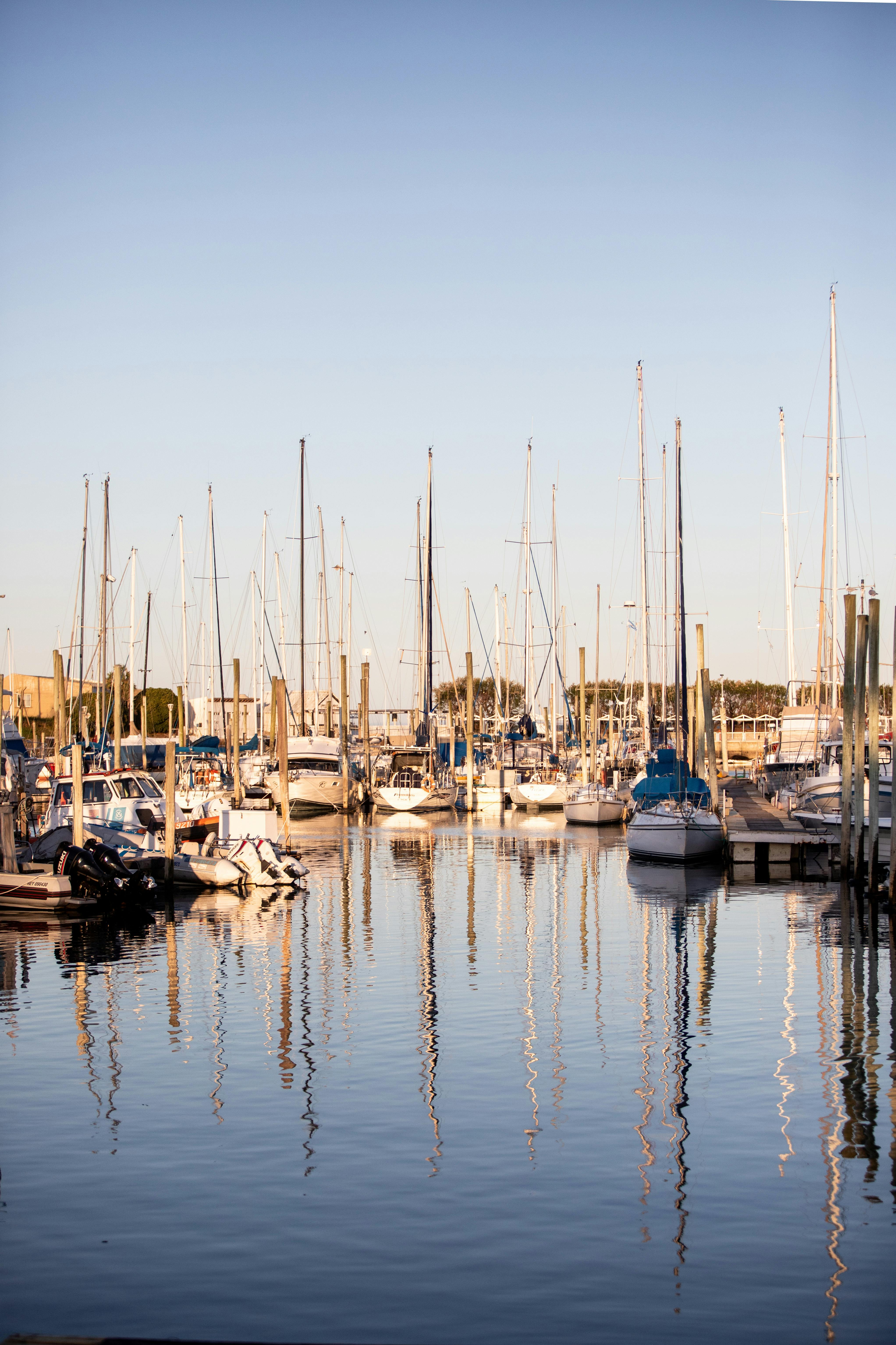 Sea Scenes With Boats Photos, Download The BEST Free Sea Scenes With ...