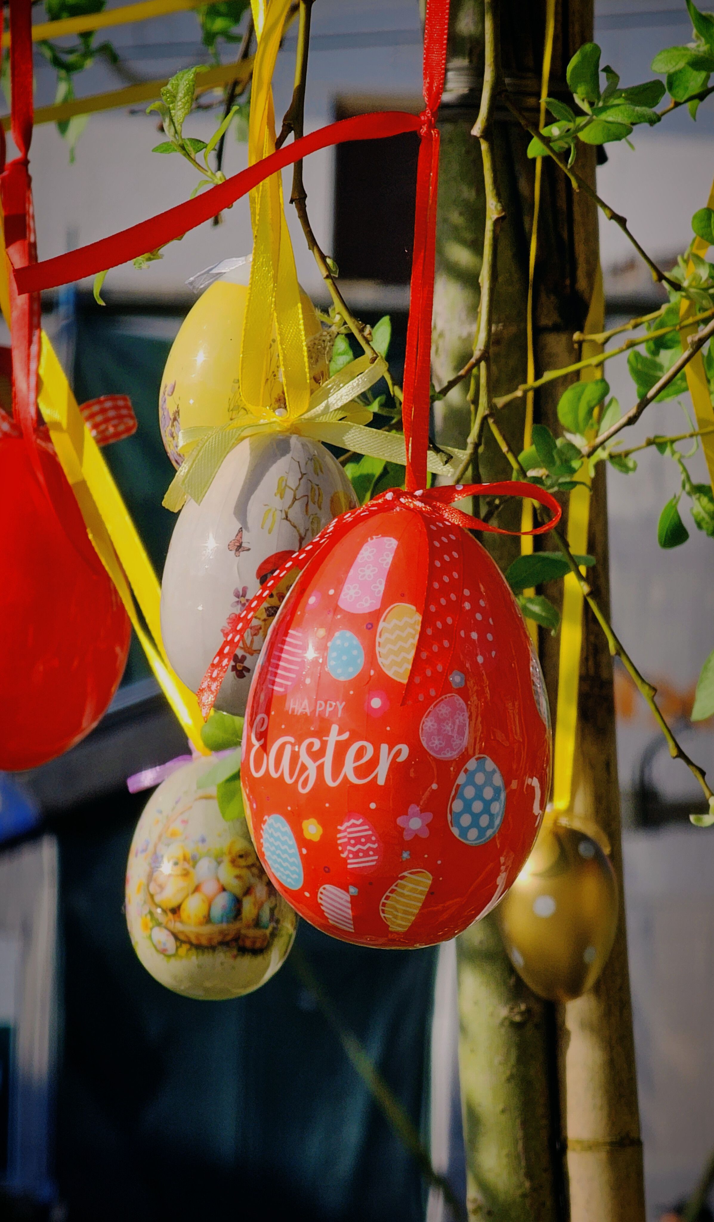 Colorful Easter Eggs Hanging on a Tree Outdoors · Free Stock Photo