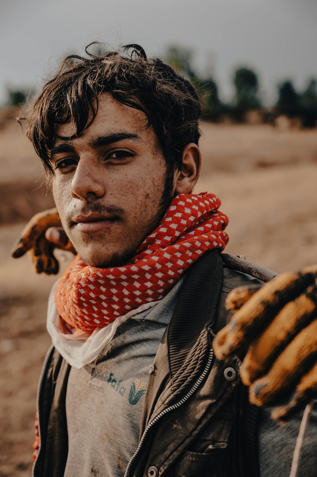 King David Shepherd Photos, Download The BEST Free King David Shepherd ...