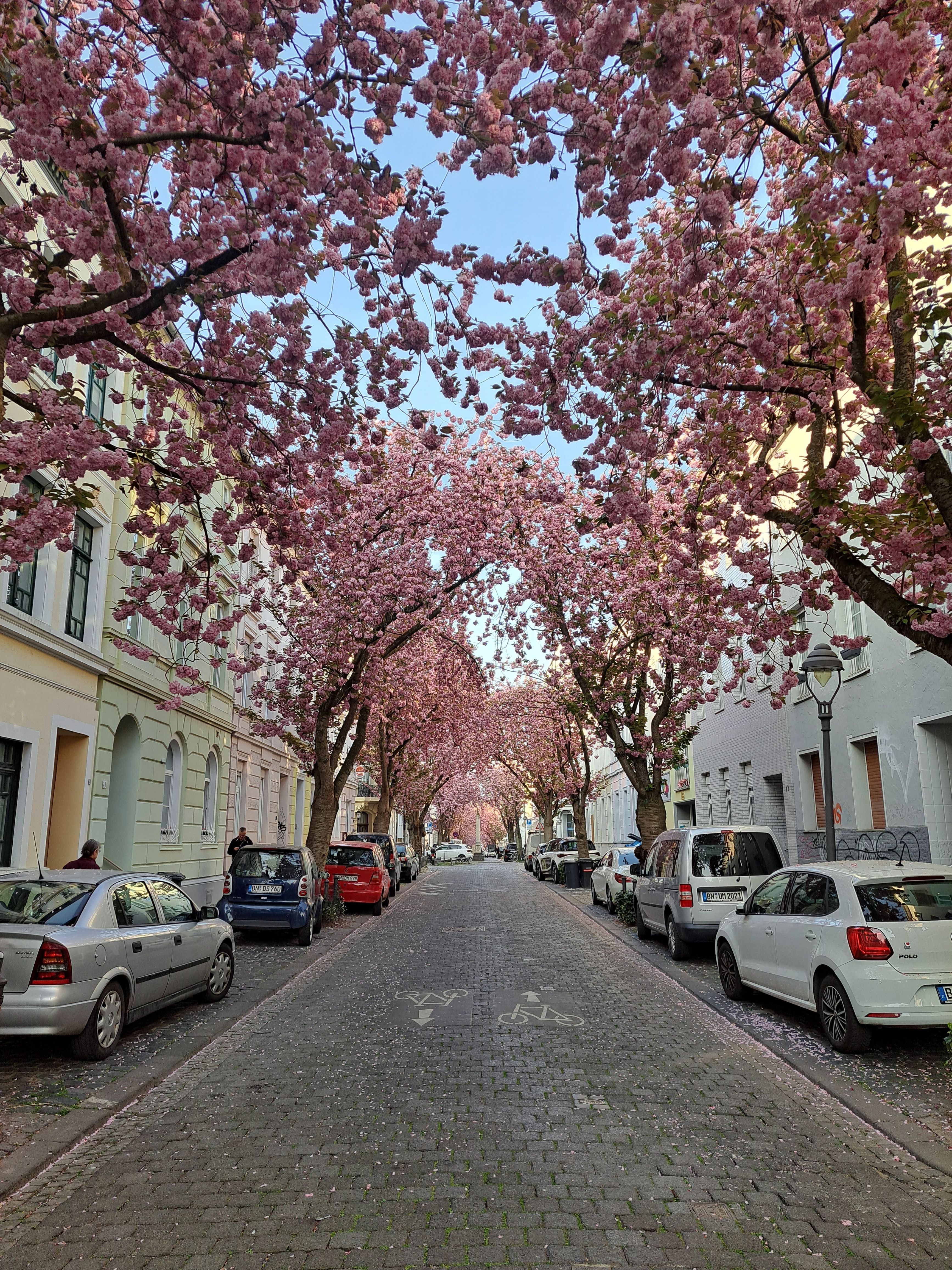 Bonn ไข่ Photos, Download The BEST Free Bonn ไข่ Stock Photos & HD Images