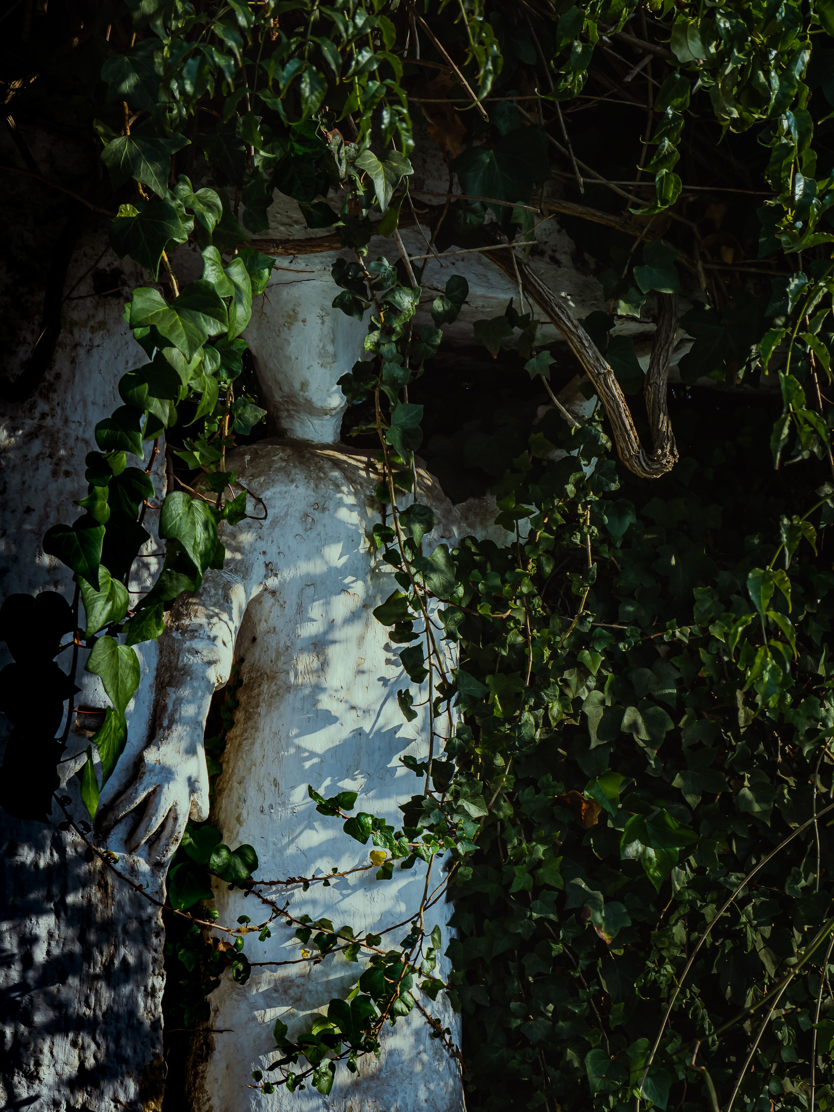 Creeping Vines on Weathered Stone Statue · Free Stock Photo