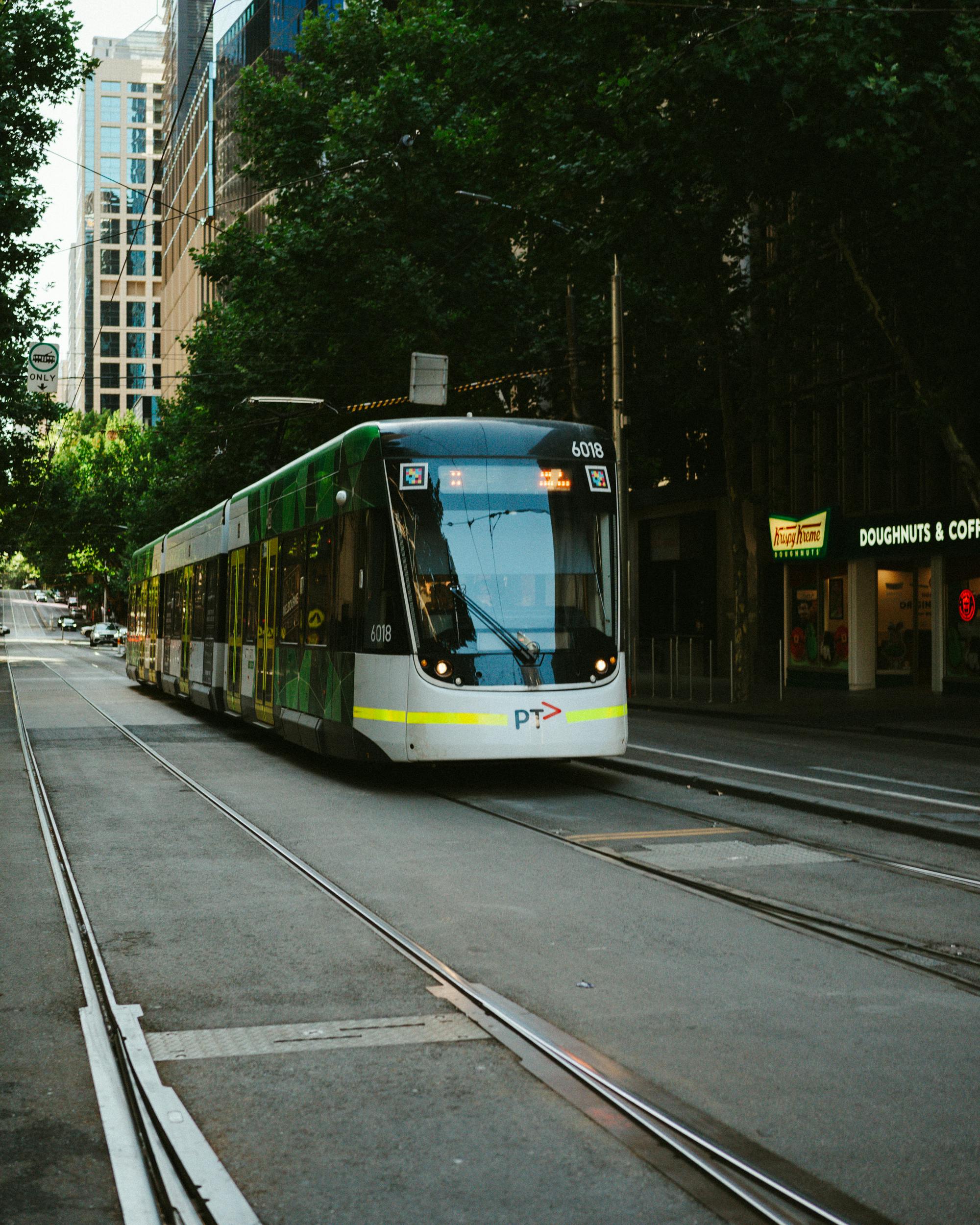 Modern Tram on a Tree-Lined Melbourne Street · Free Stock Photo