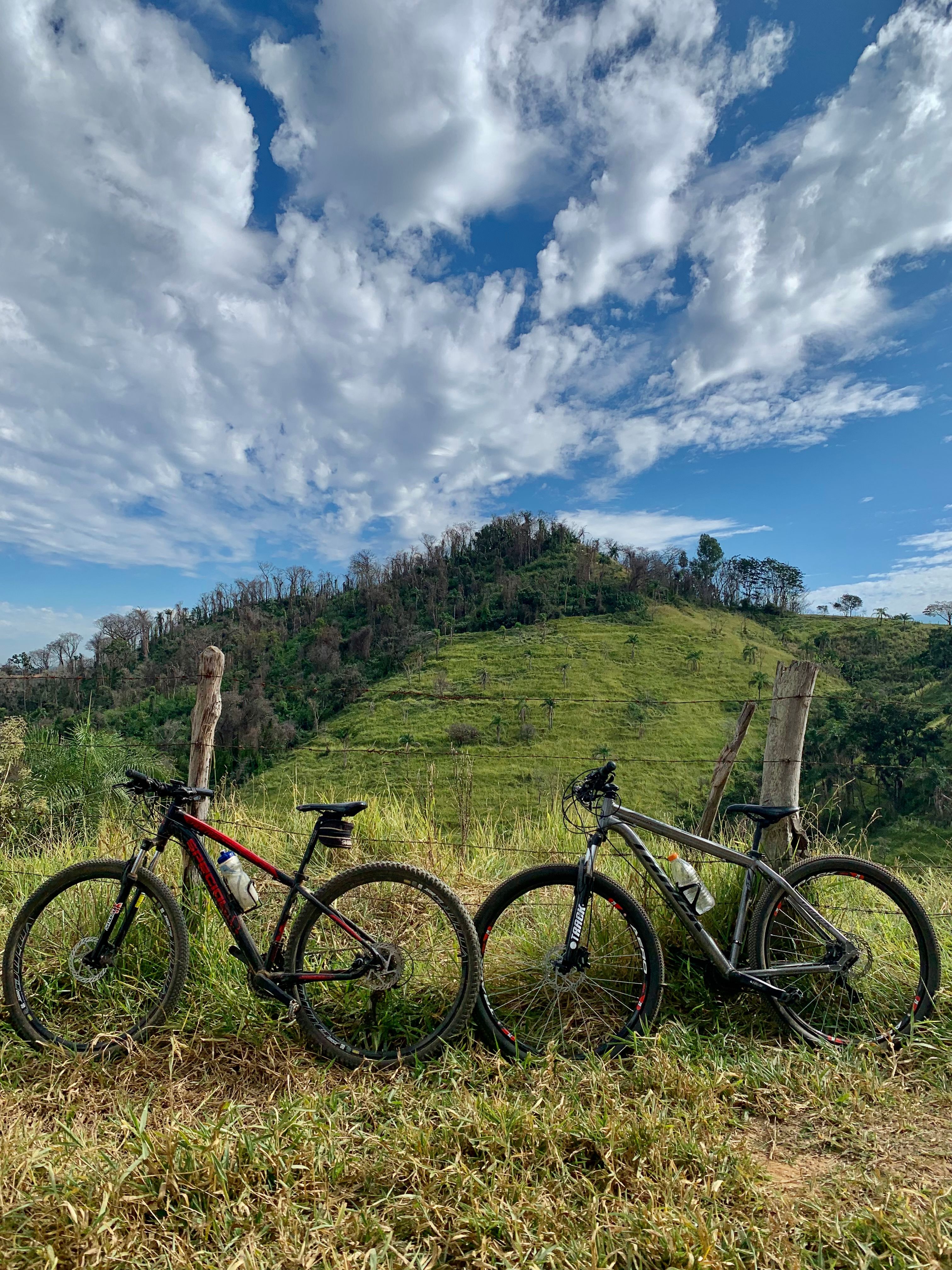 Mountain Bikes Resting in Scenic Hillside Landscape · Free Stock Photo