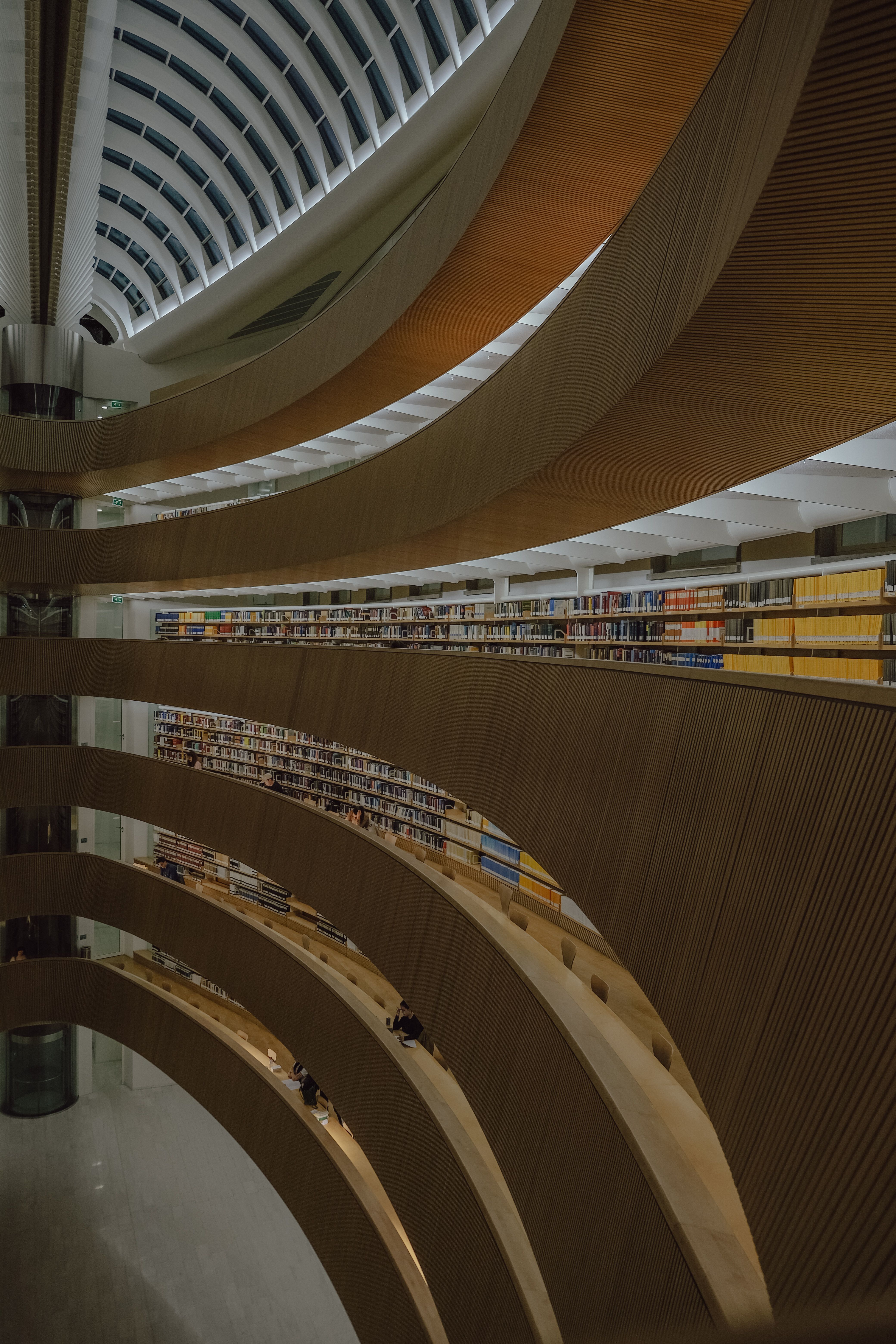 Modern Architectural Library with Curved Shelves · Free Stock Photo