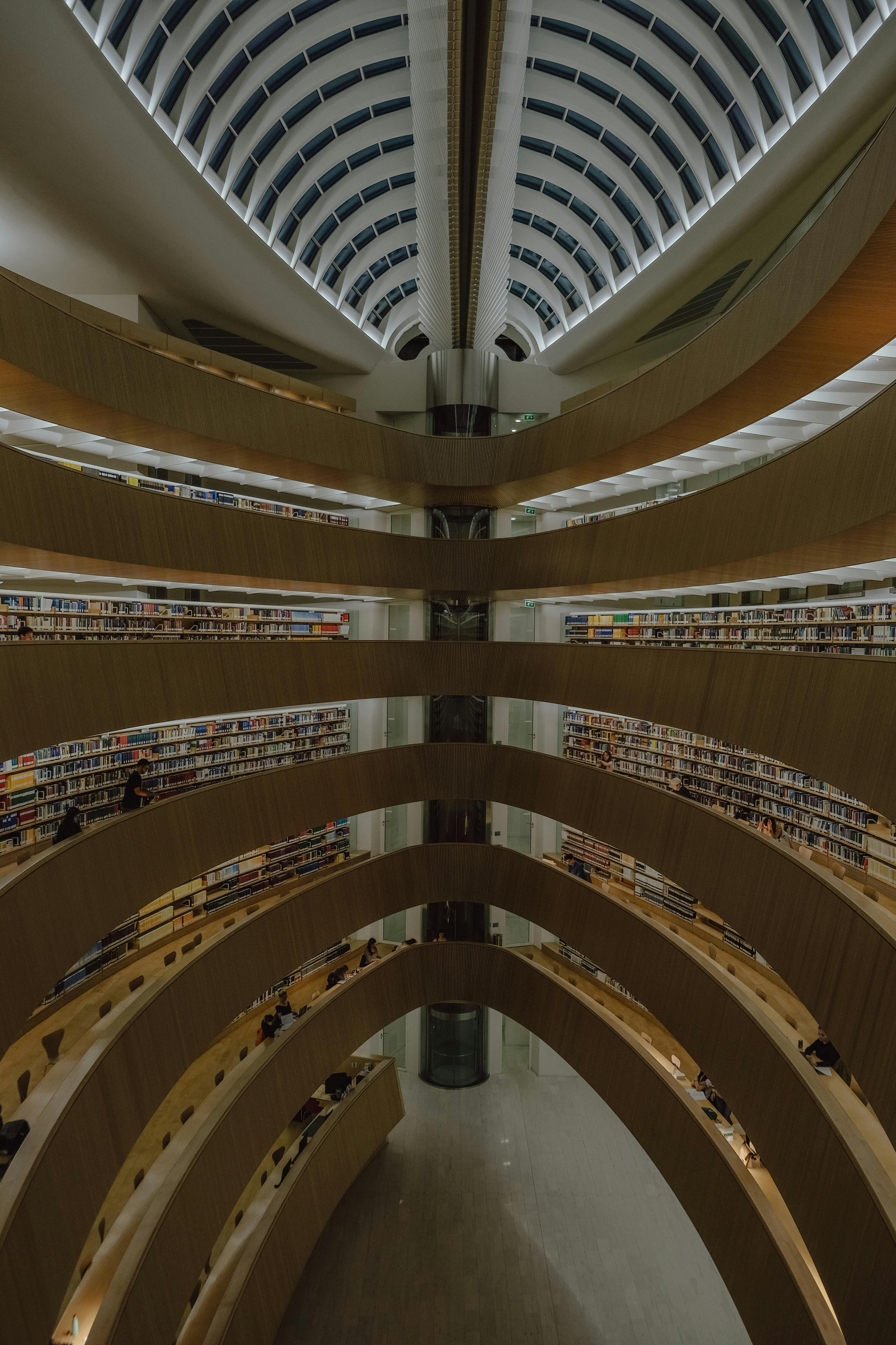 Modern Curved Library Interior Architecture · Free Stock Photo