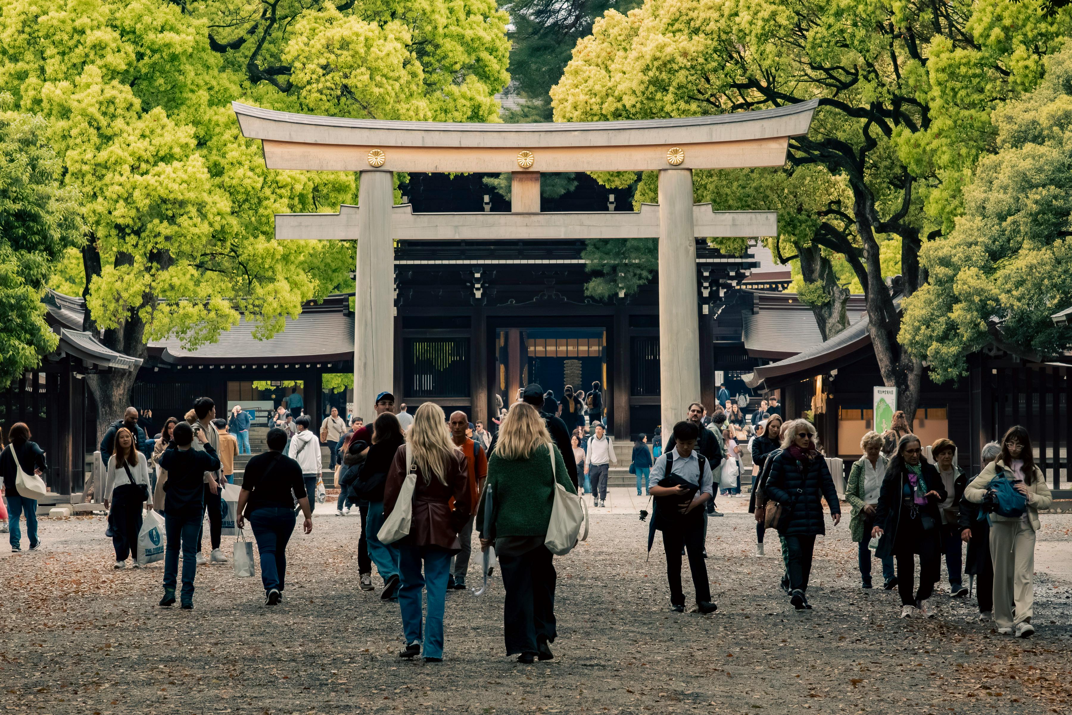 Bustling Shibuya Street Scene at Torii Gate · Free Stock Photo