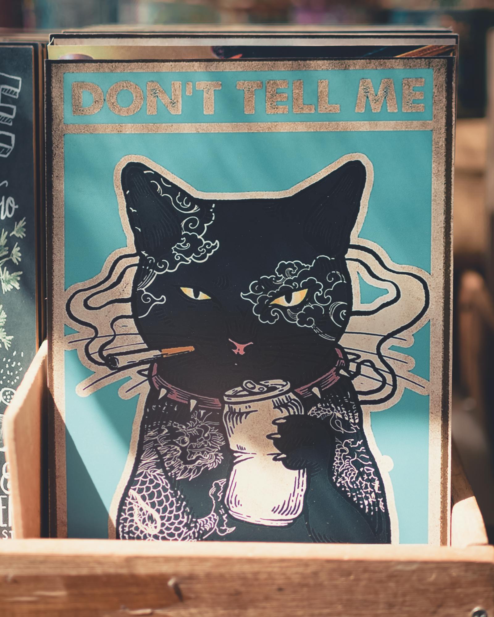 Cat Attitude Photos, Download The BEST Free Cat Attitude Stock Photos ...