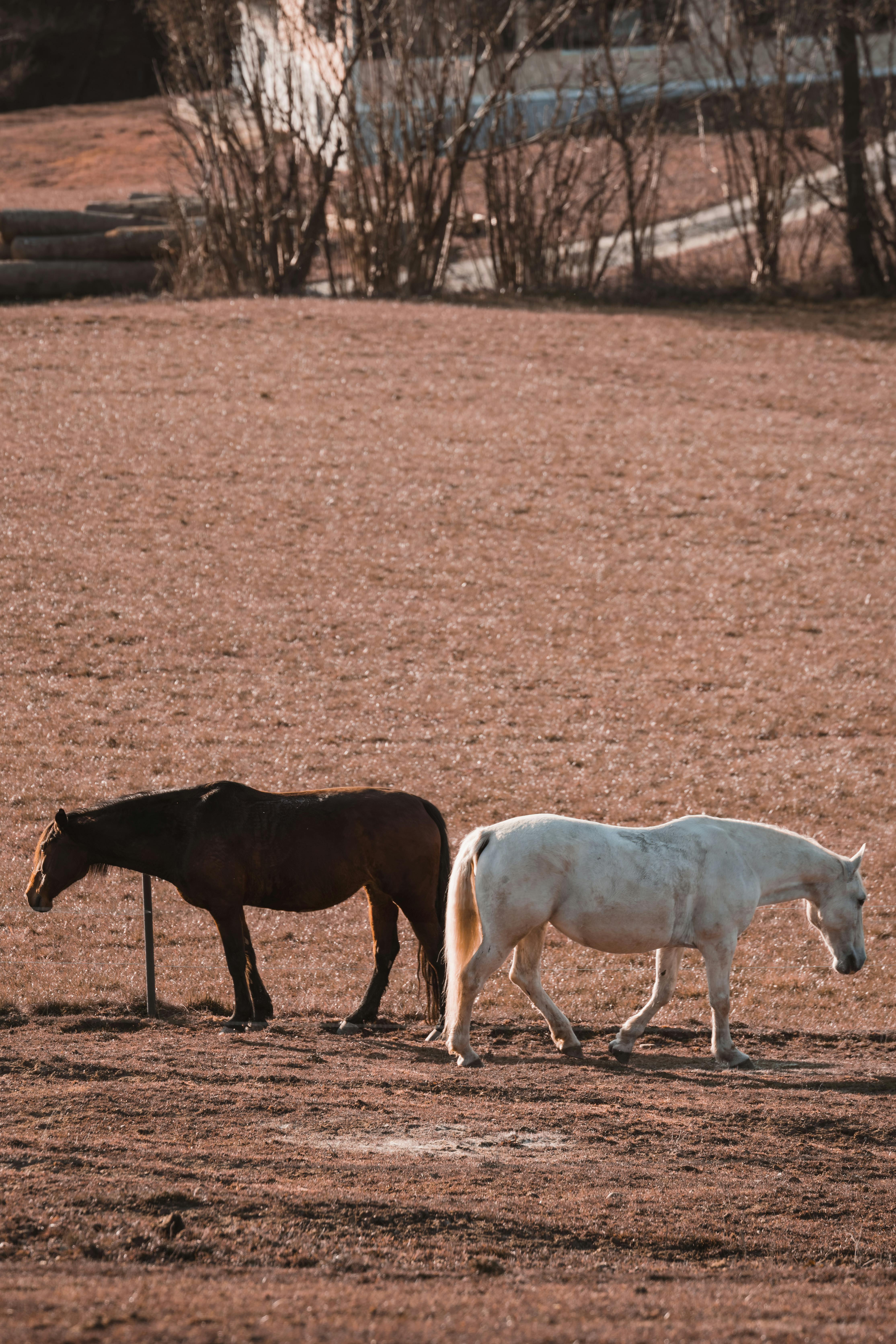 683.864+ Fotos y Imágenes de Fondo de pantalla 4k motos Gratis · Banco ...