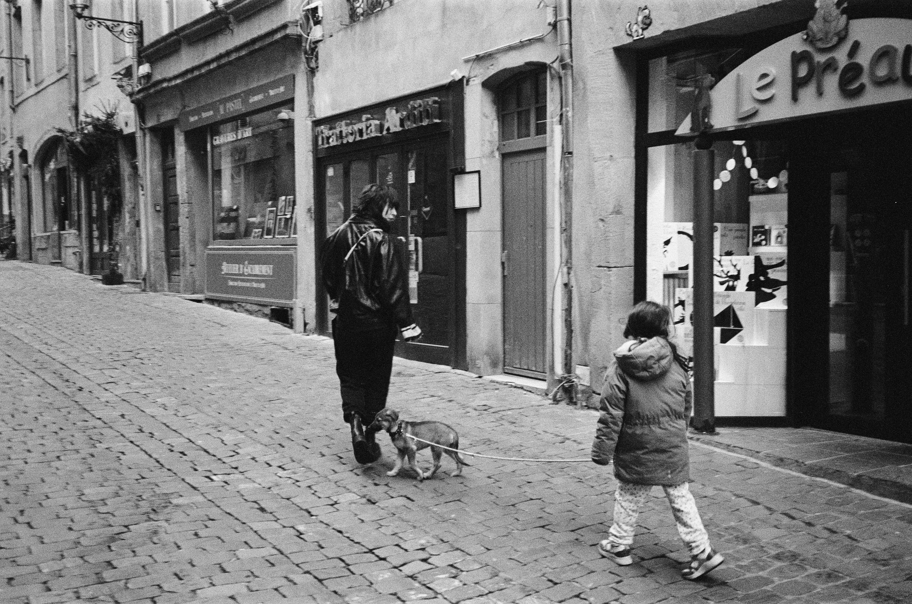 France Boy Photos, Download The BEST Free France Boy Stock Photos & HD ...