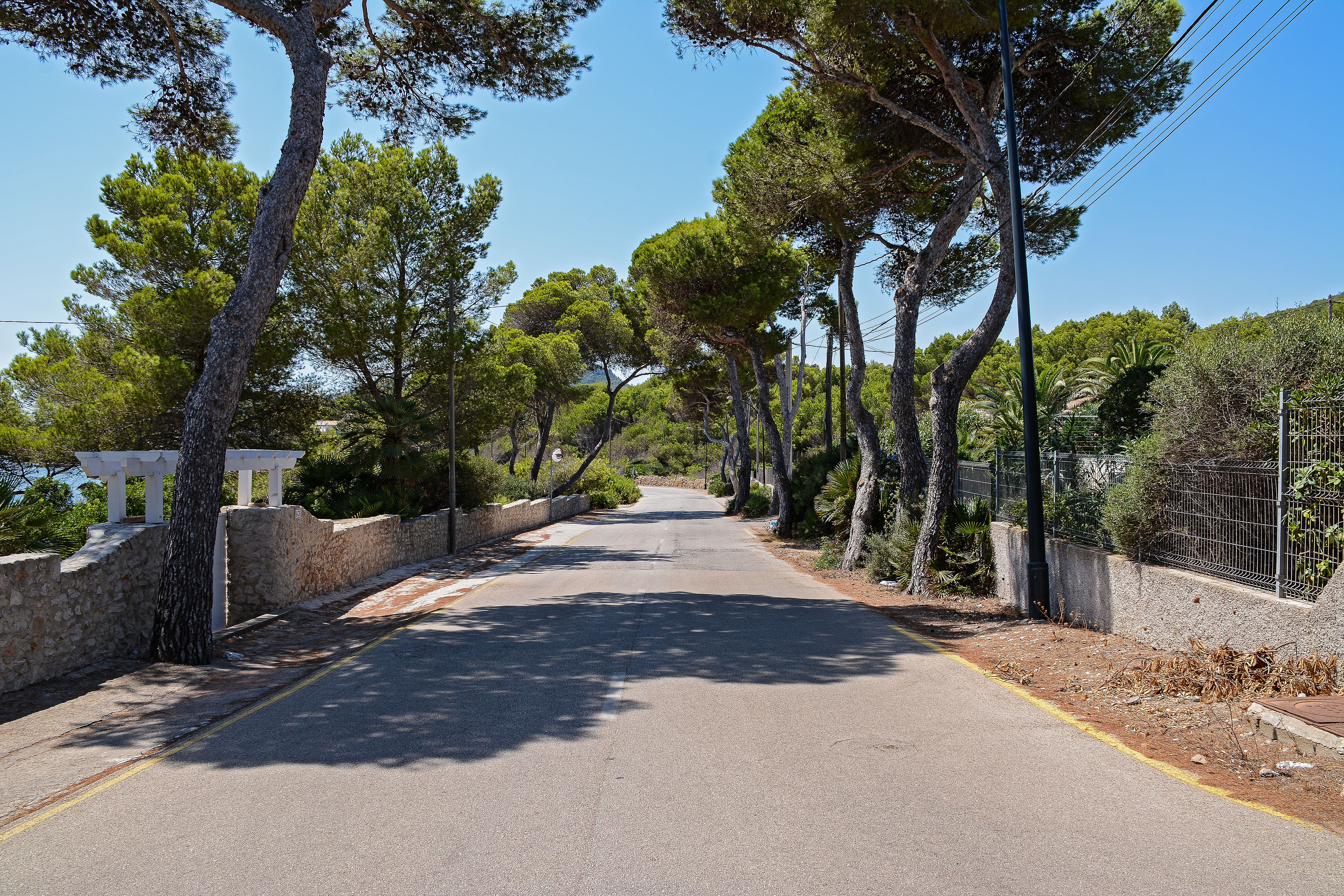 Scenic Tree-Lined Road in Cala Rajada, Spain · Free Stock Photo