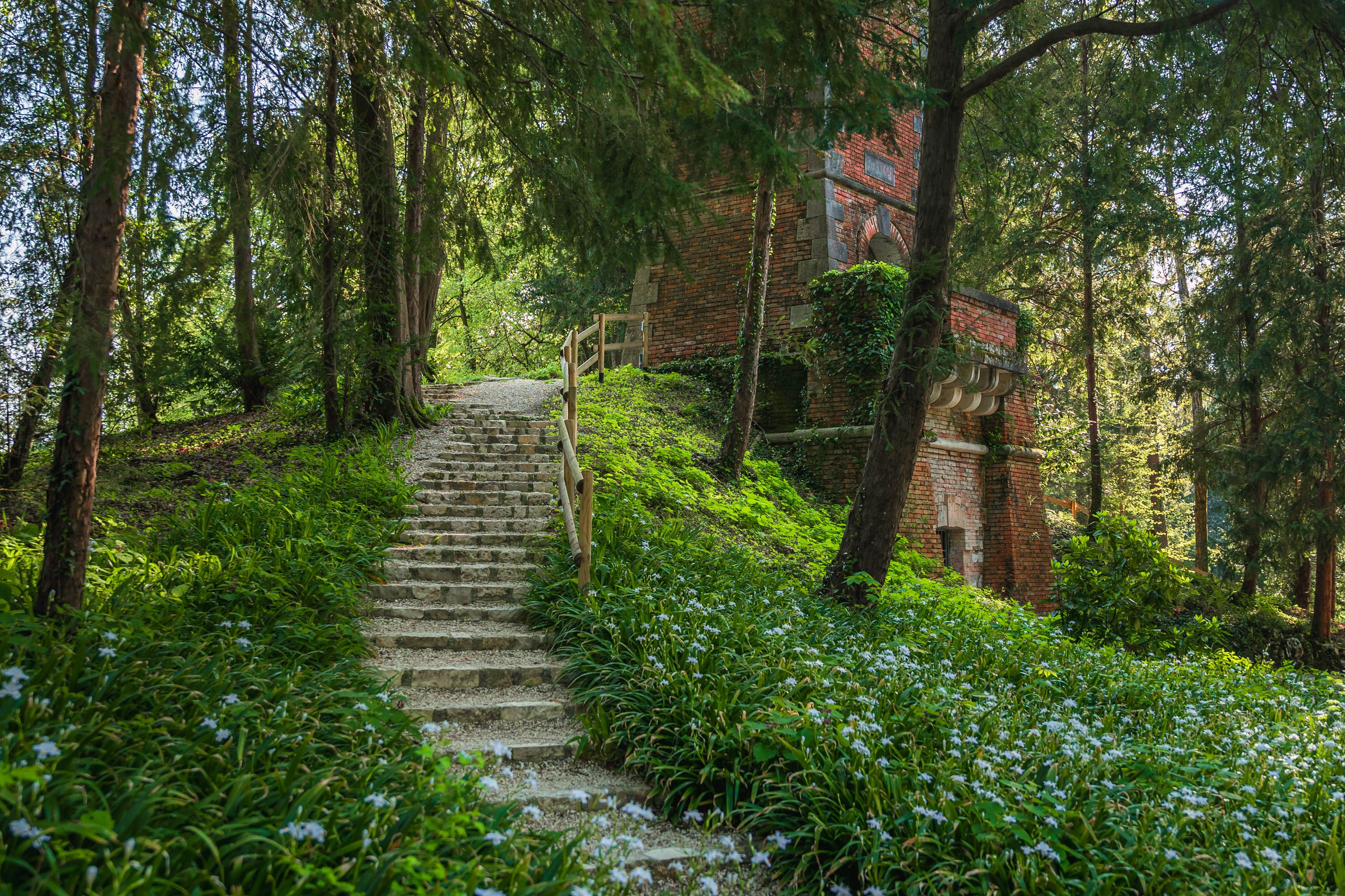 Scenic Forest Path Leading to Historic Brick Structure · Free Stock Photo