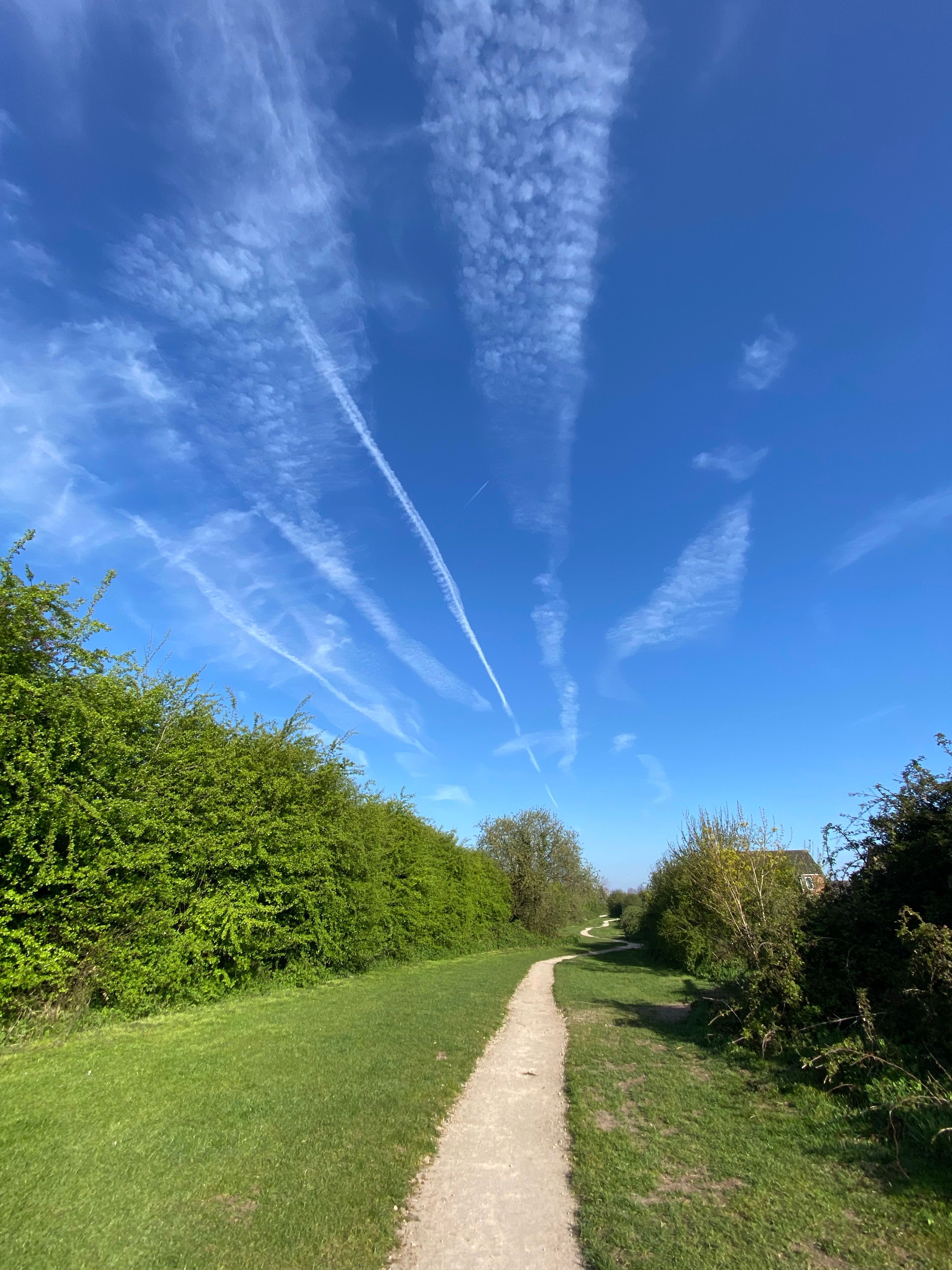 Serene Pathway Under Blue Skies with Wispy Clouds · Free Stock Photo