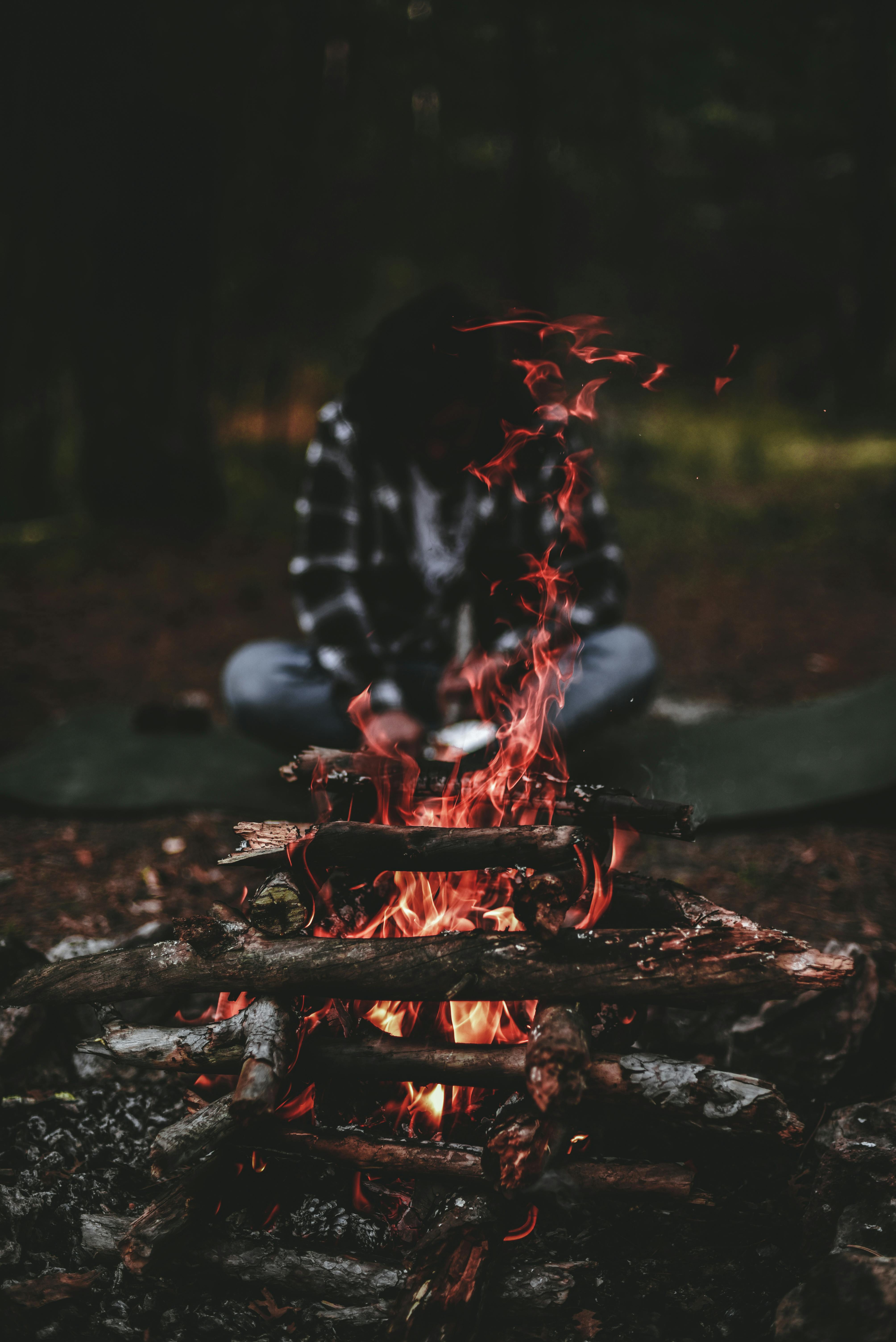 Cozy Campfire Scene in Dark Forest Setting · Free Stock Photo