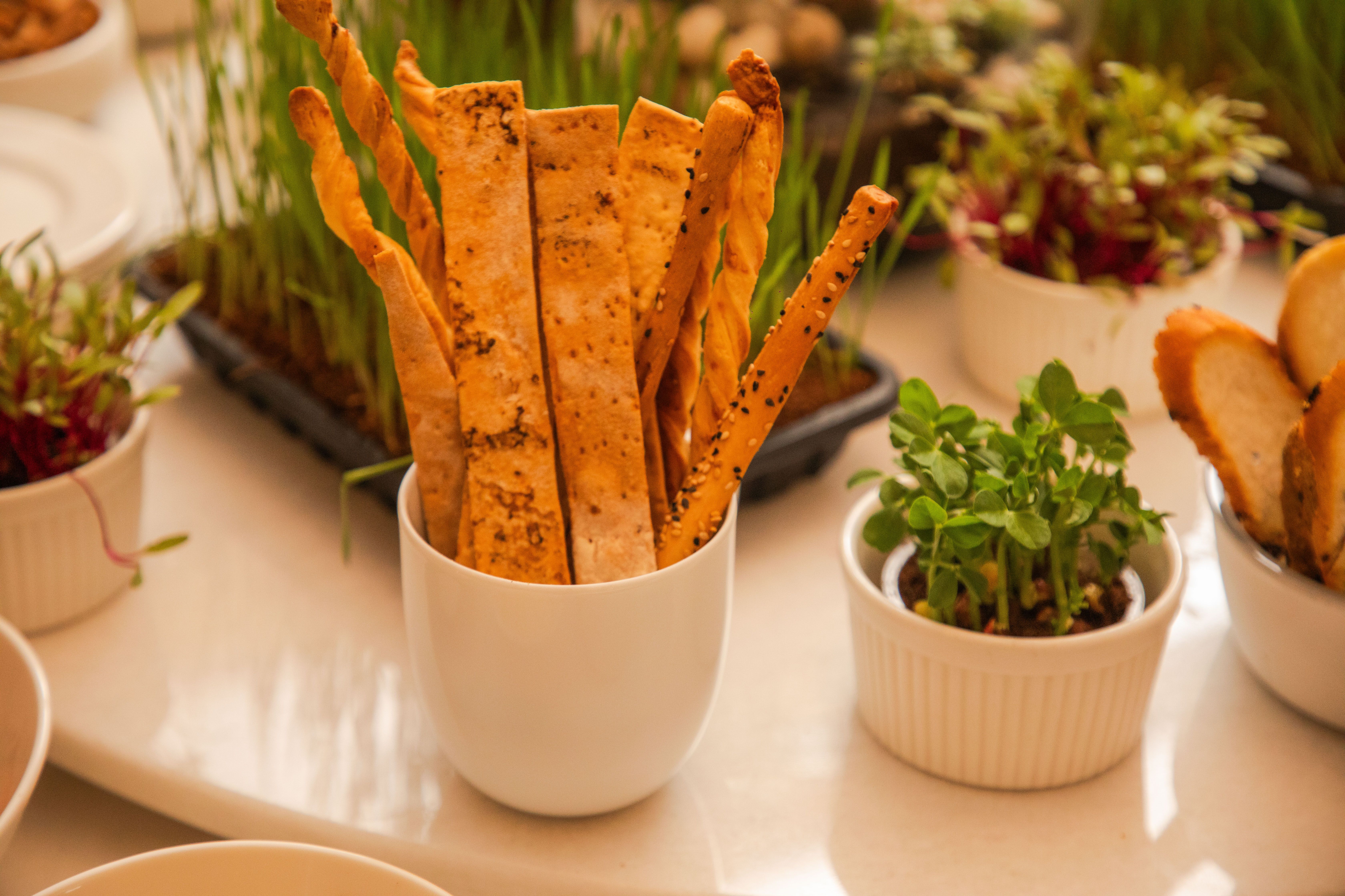 Artisan Breadsticks with Fresh Micro Greens · Free Stock Photo