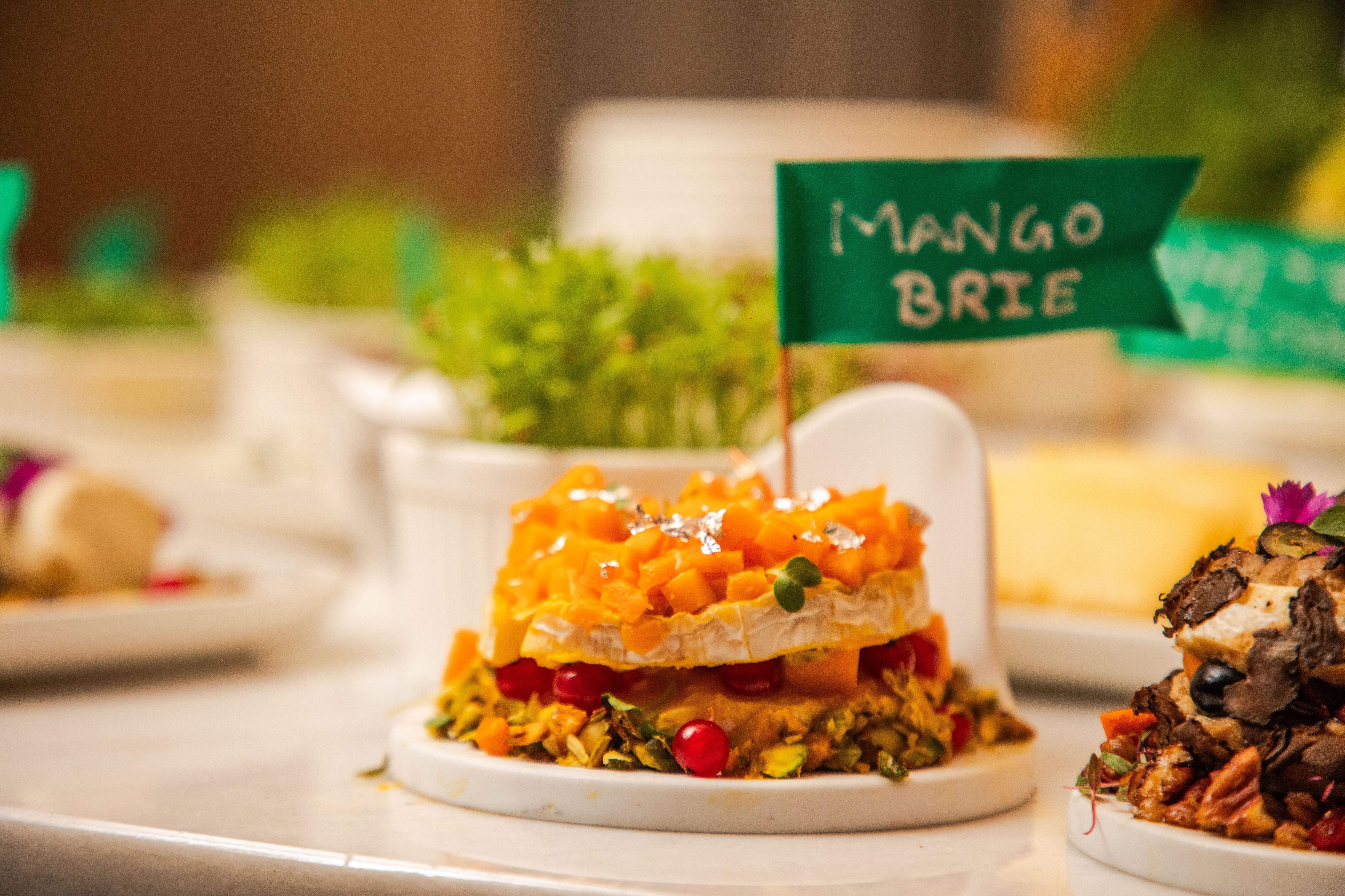 Gourmet Mango Brie Cheese with Fresh Herbs · Free Stock Photo