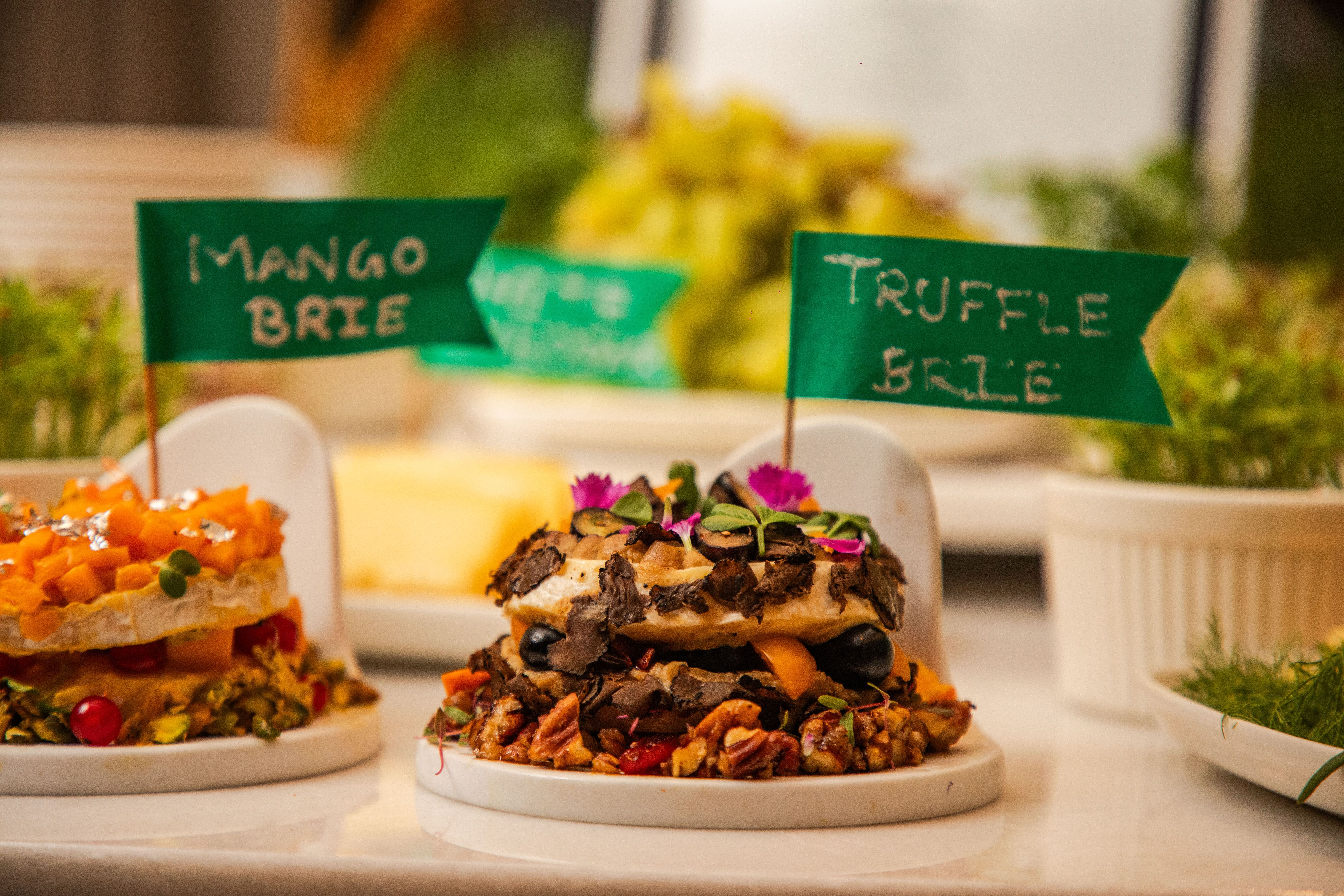 Gourmet Brie Cheese Arrangement with Truffle and Mango · Free Stock Photo