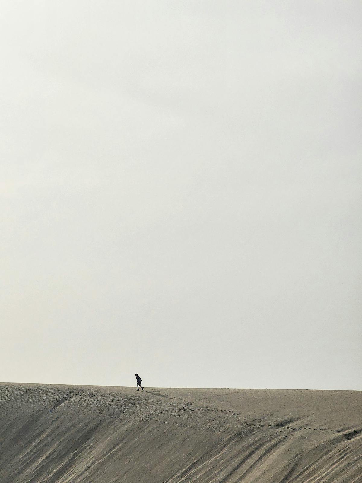 Figure Photos, Download The BEST Free Figure Stock Photos & HD Images