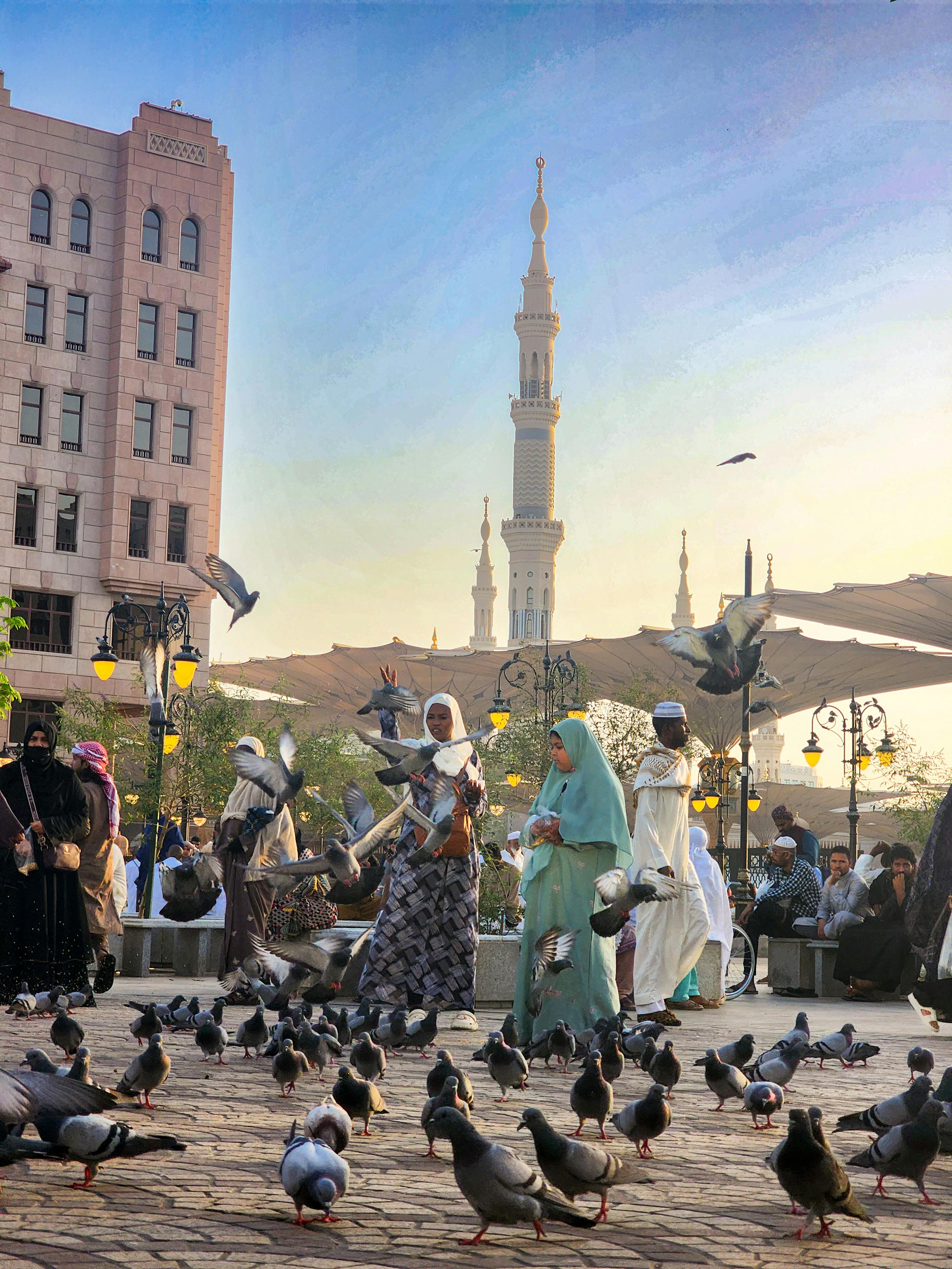 Vibrant Scene with Pigeons at Historic Mosque · Free Stock Photo