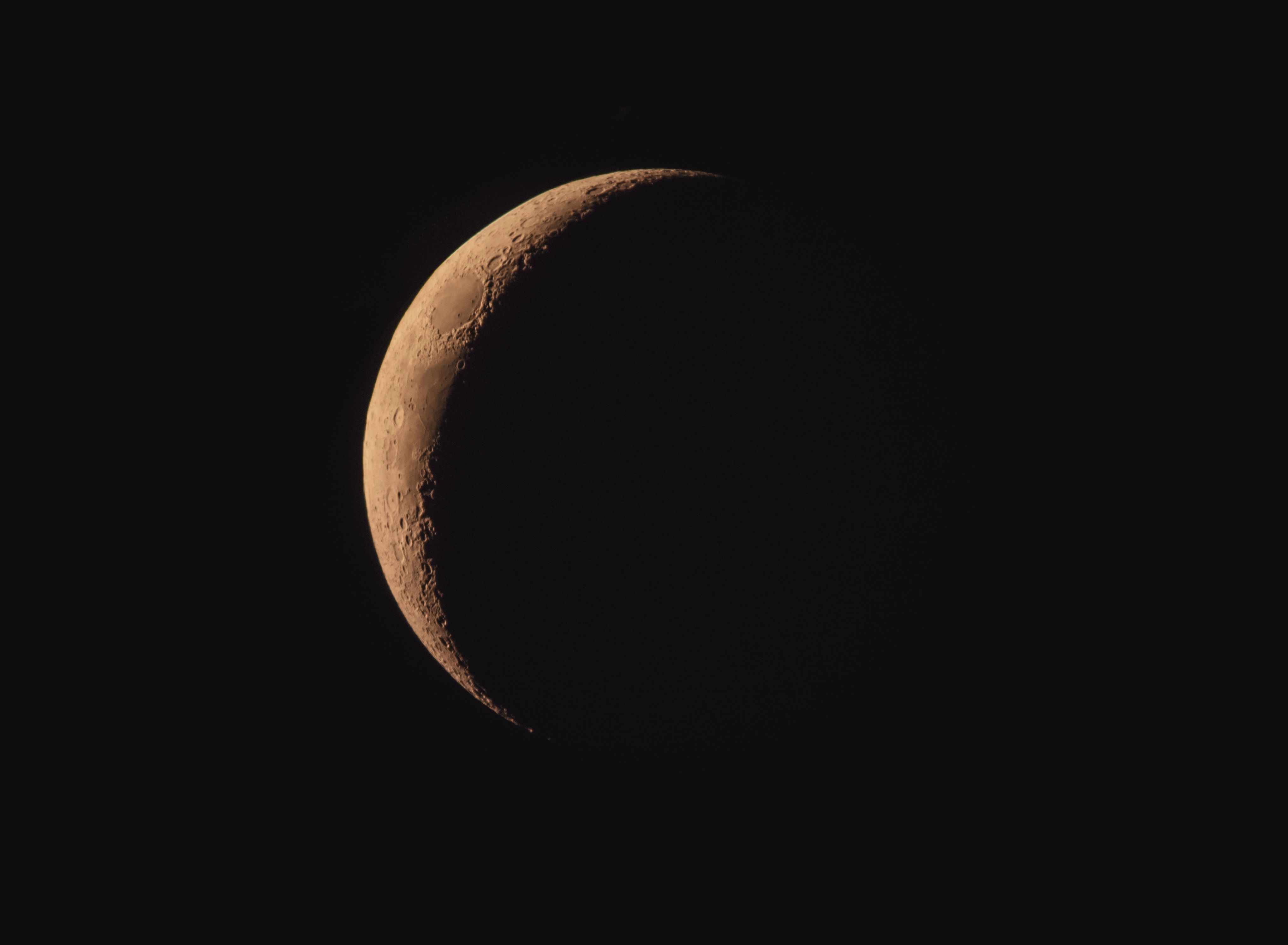 Detailed Close-Up of the Crescent Moon Surface · Free Stock Photo