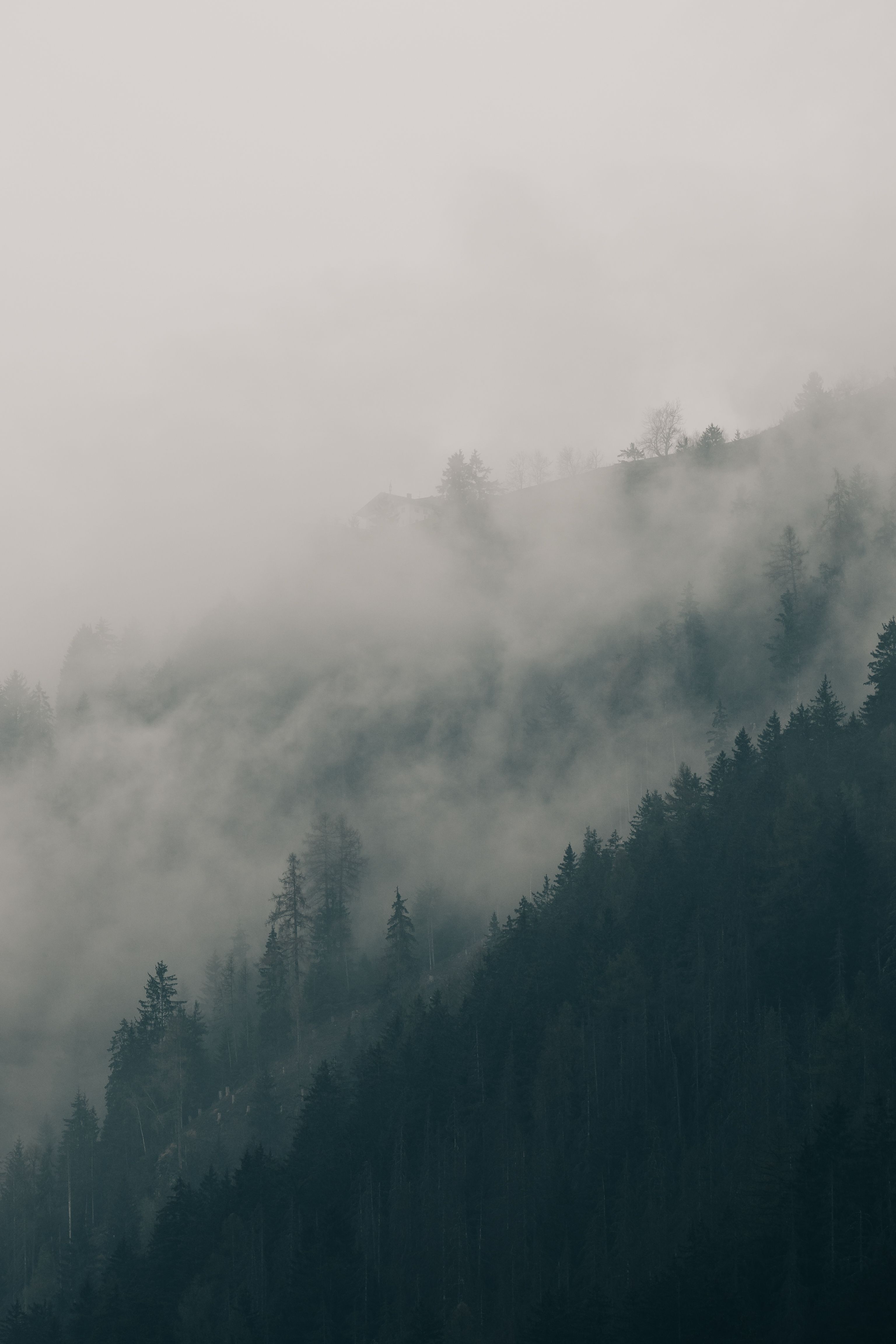 Mystical Mist Over a Forested Mountain Range · Free Stock Photo