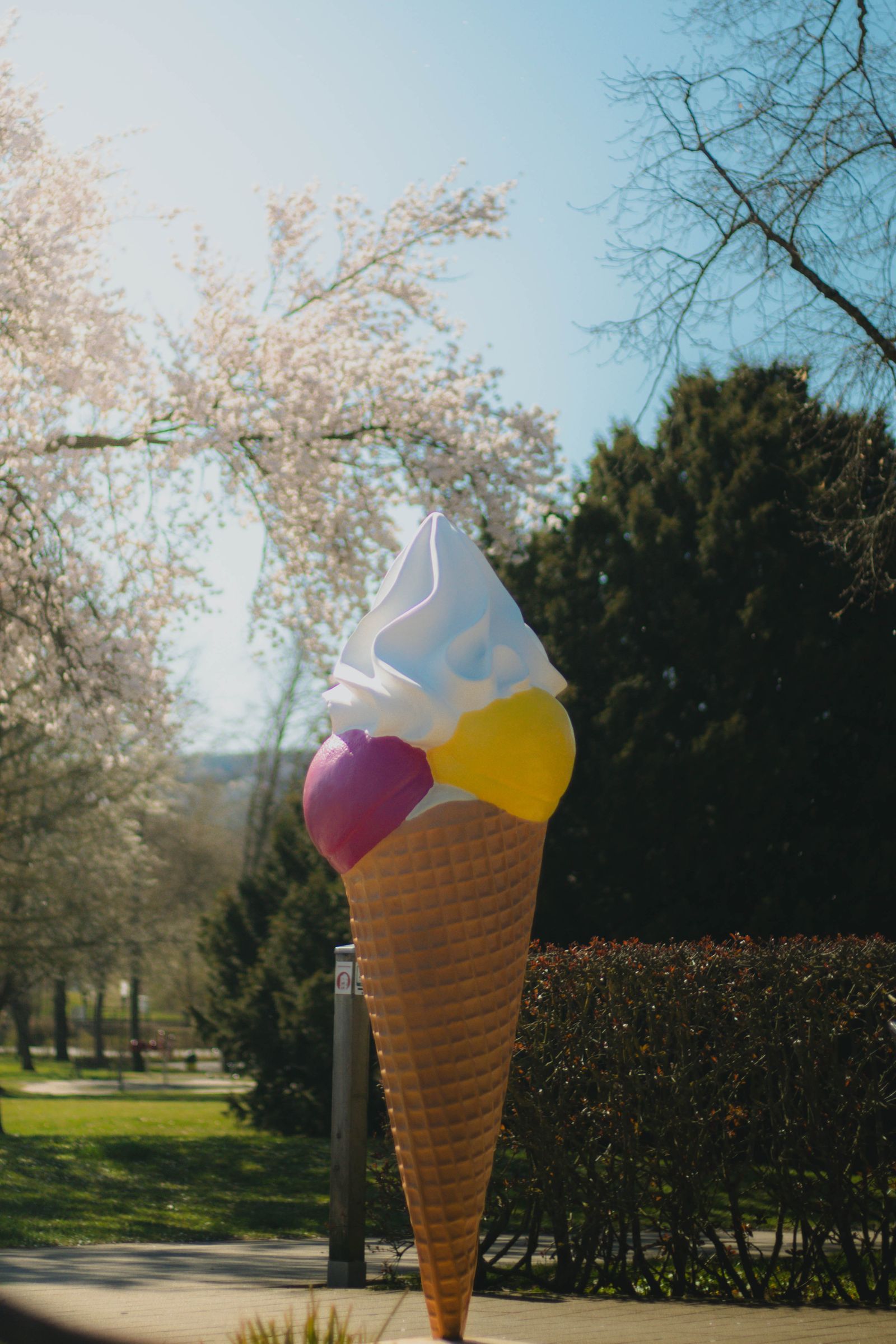 Photos Of Ice Cream Photos, Download The BEST Free Photos Of Ice Cream ...