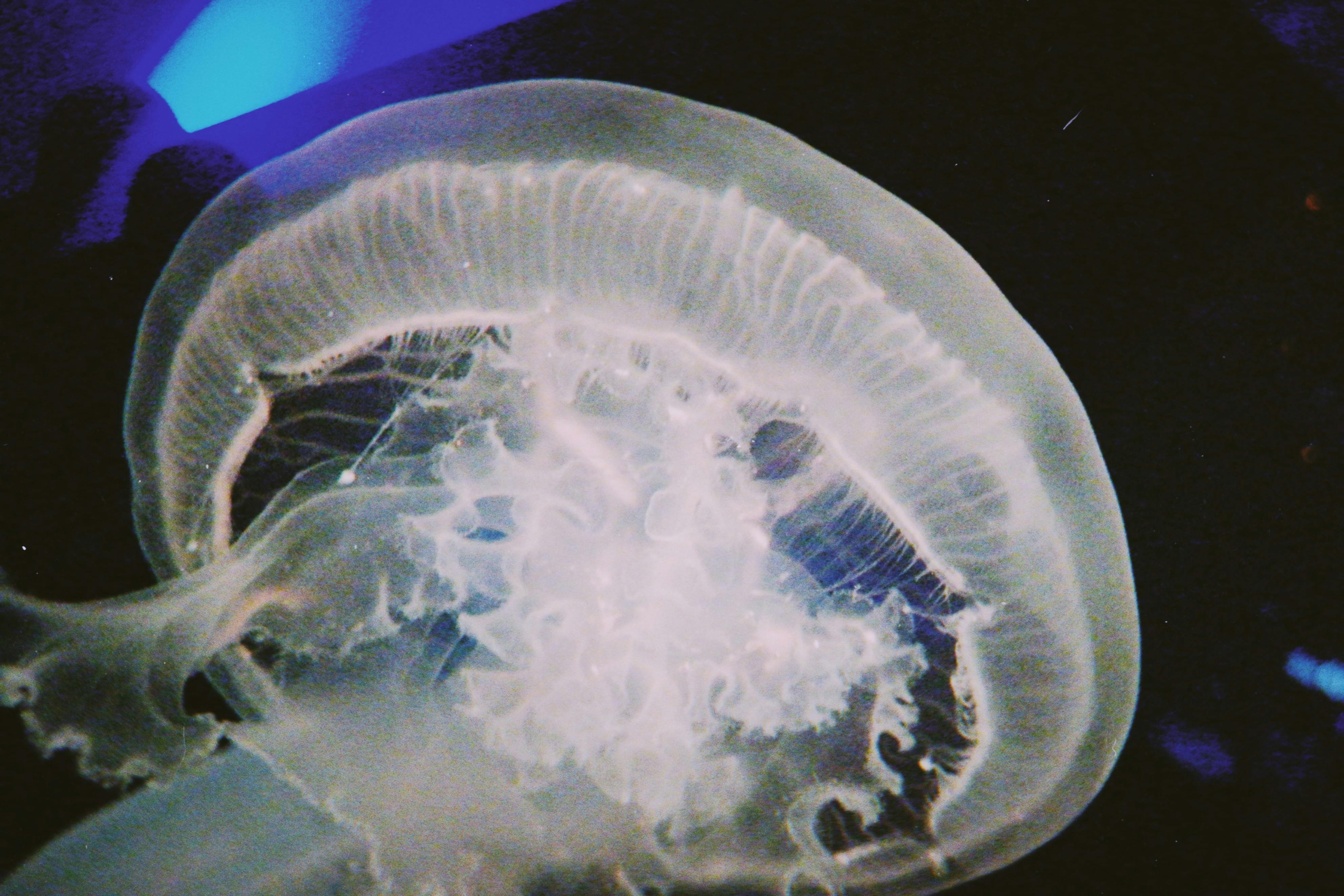 Kate Shape Photos, Download The BEST Free Kate Shape Stock Photos & HD ...