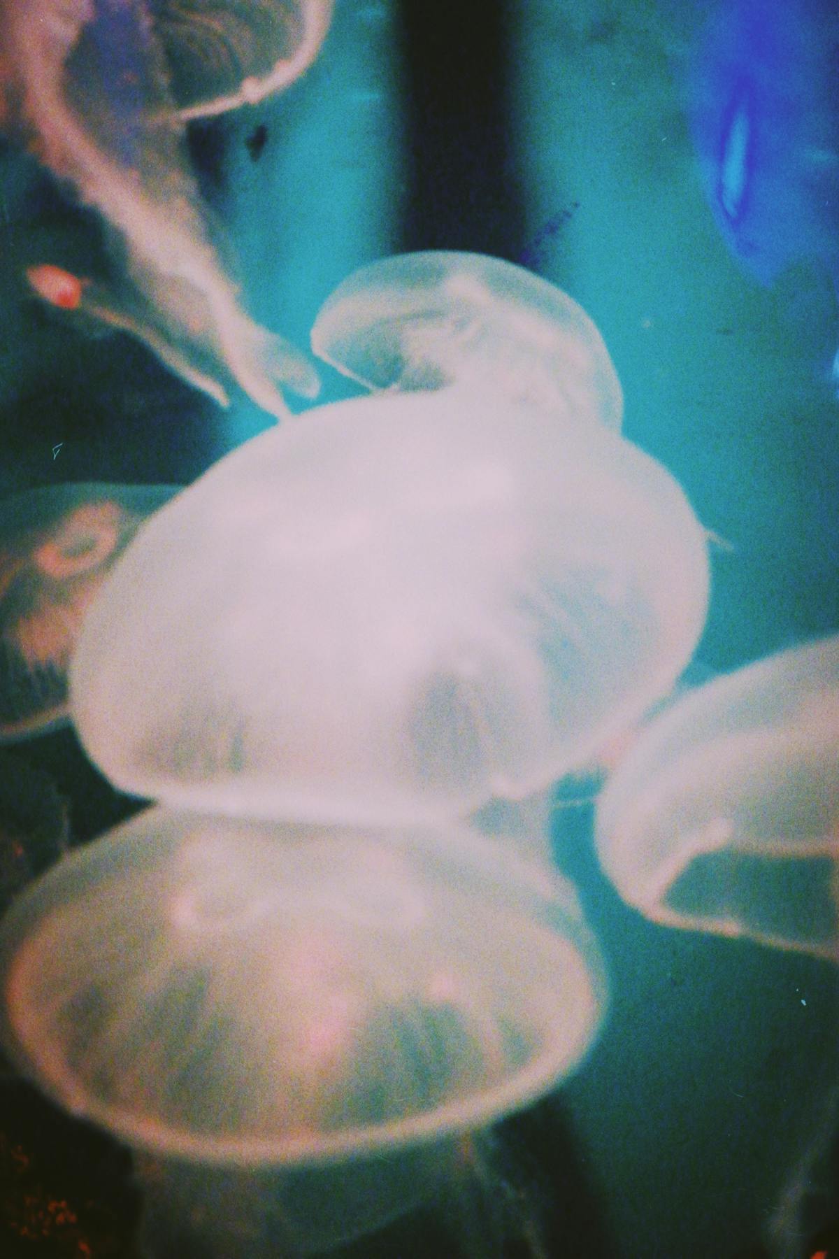 Deep Ocean Photos, Download The BEST Free Deep Ocean Stock Photos & HD ...