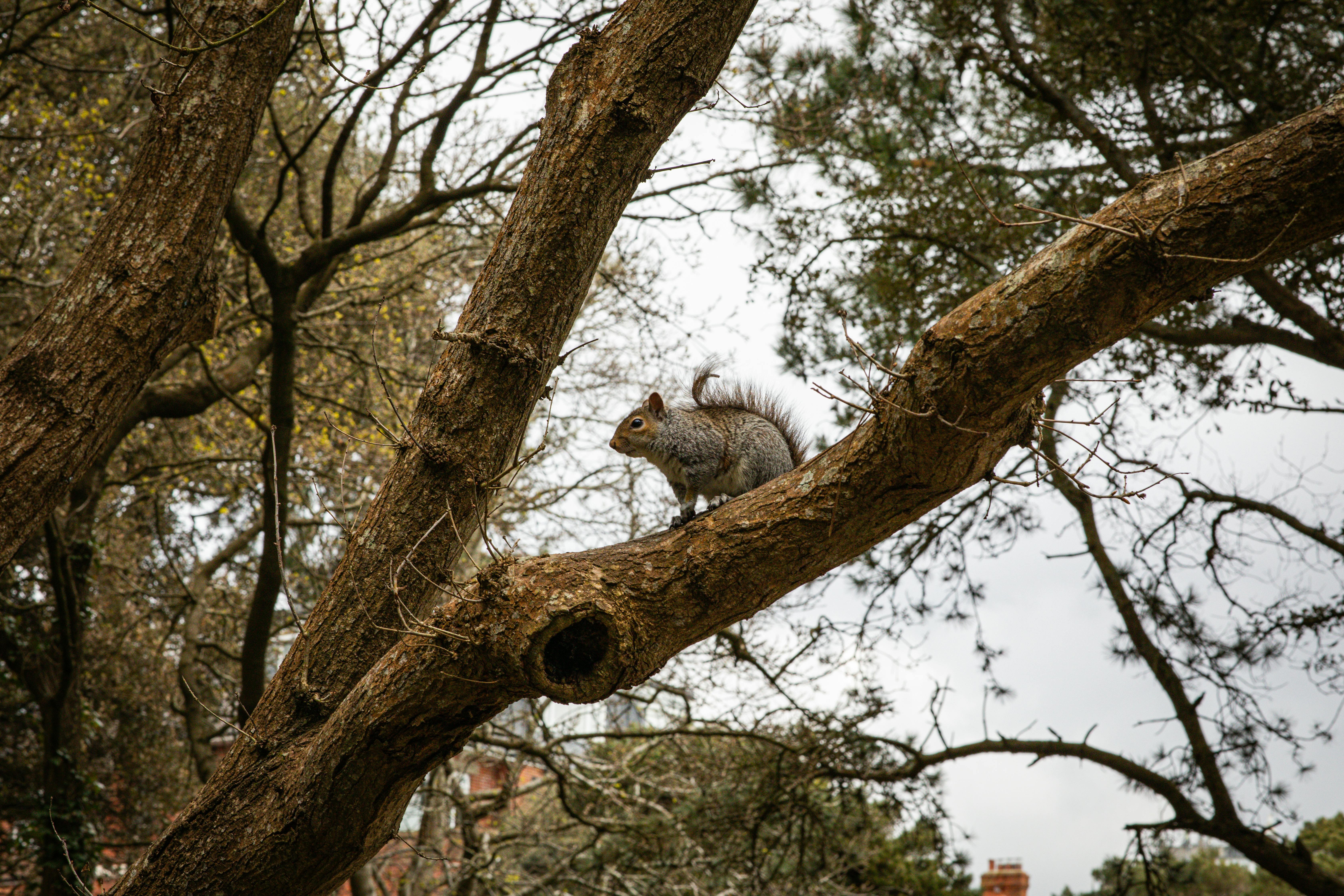 Vernal Photos, Download The BEST Free Vernal Stock Photos & HD Images