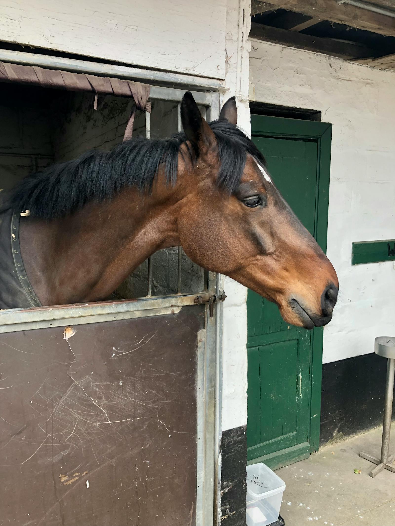 Thunda859+Ass Photos, Download The BEST Free Thunda859+Ass Stock Photos ...