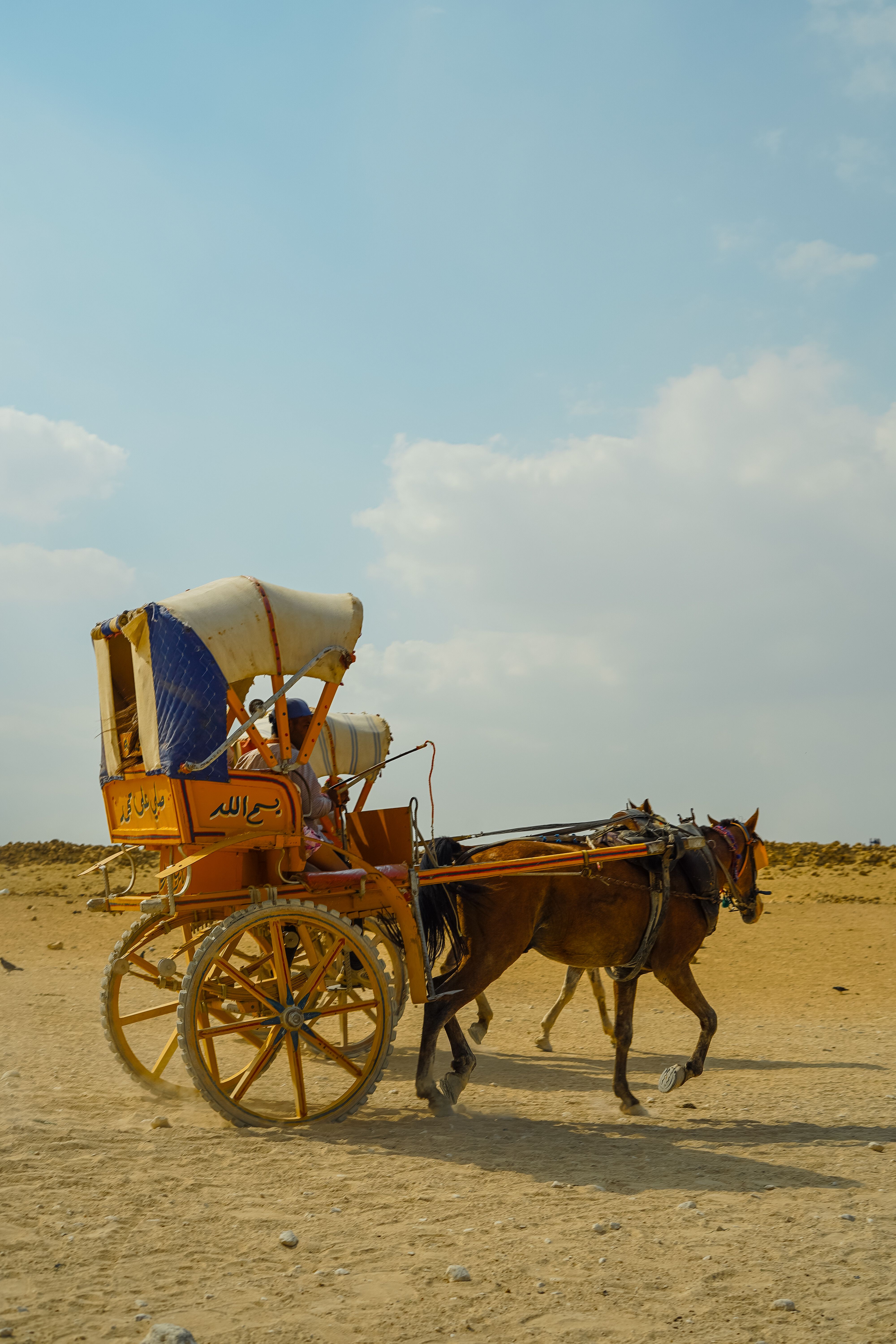 Traditional Horse Carriage in Giza Desert · Free Stock Photo