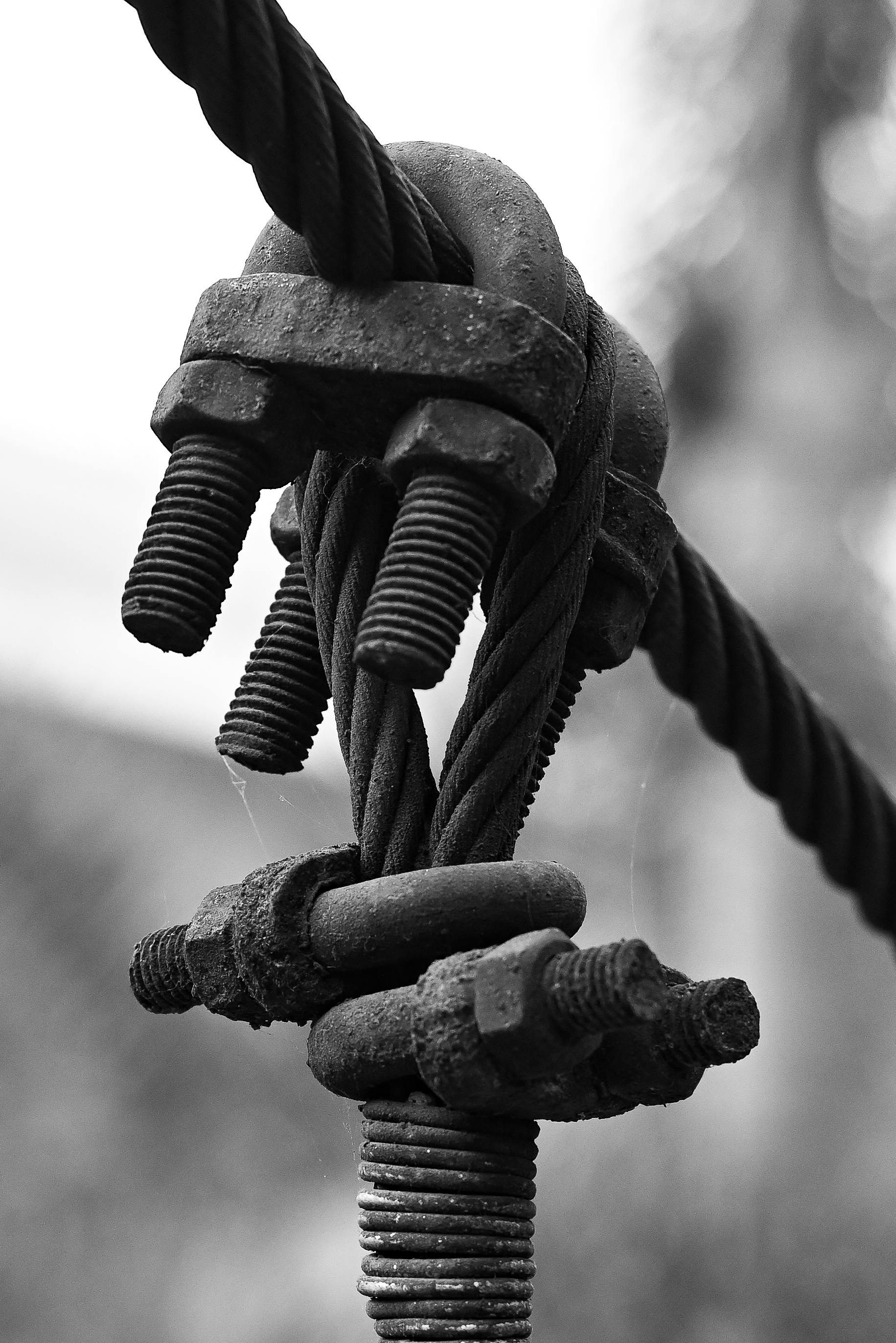 Rope Nuts Photos, Download The BEST Free Rope Nuts Stock Photos & HD Images