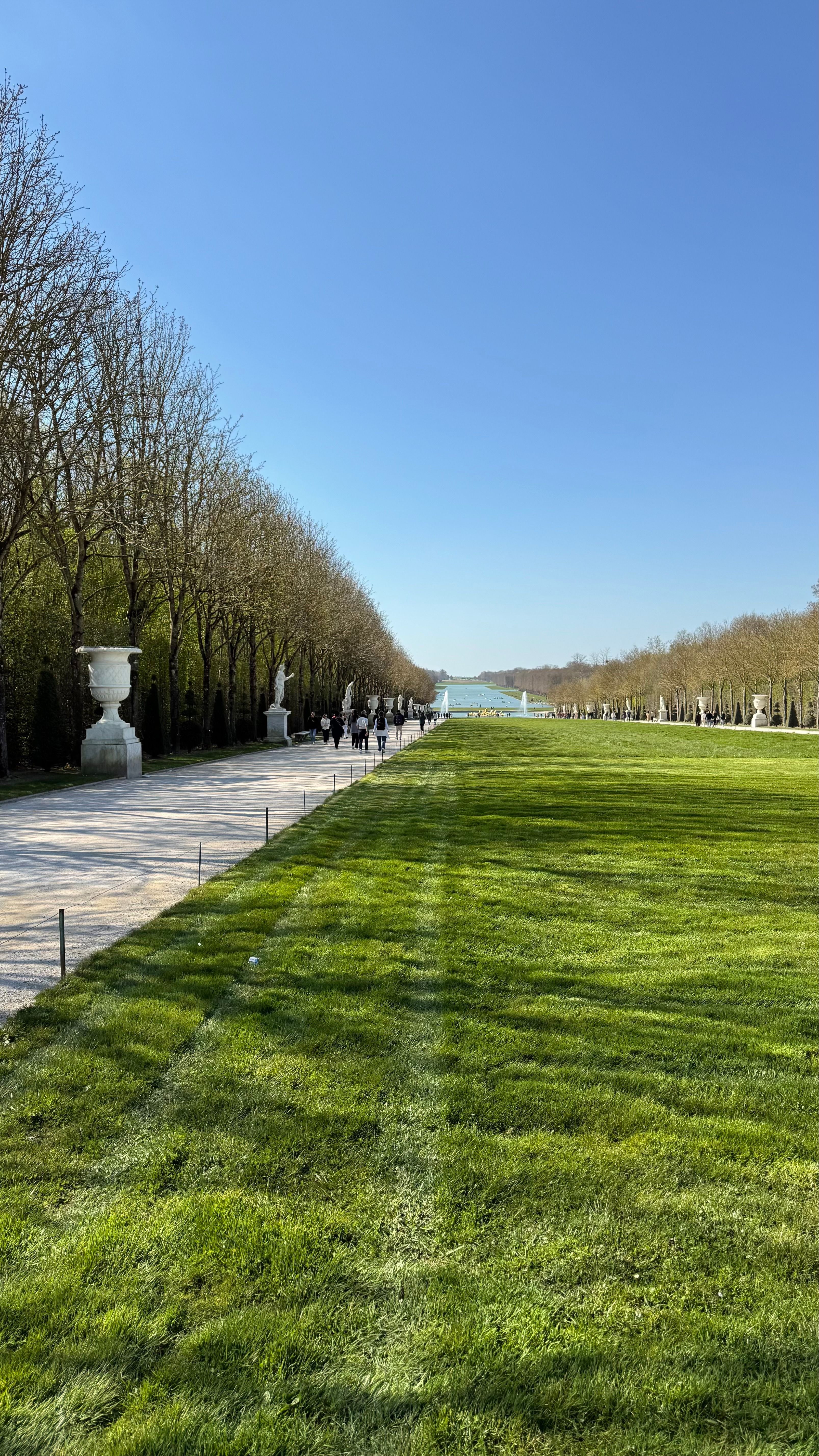 Expansive Gardens of Versailles on a Clear Day · Free Stock Photo