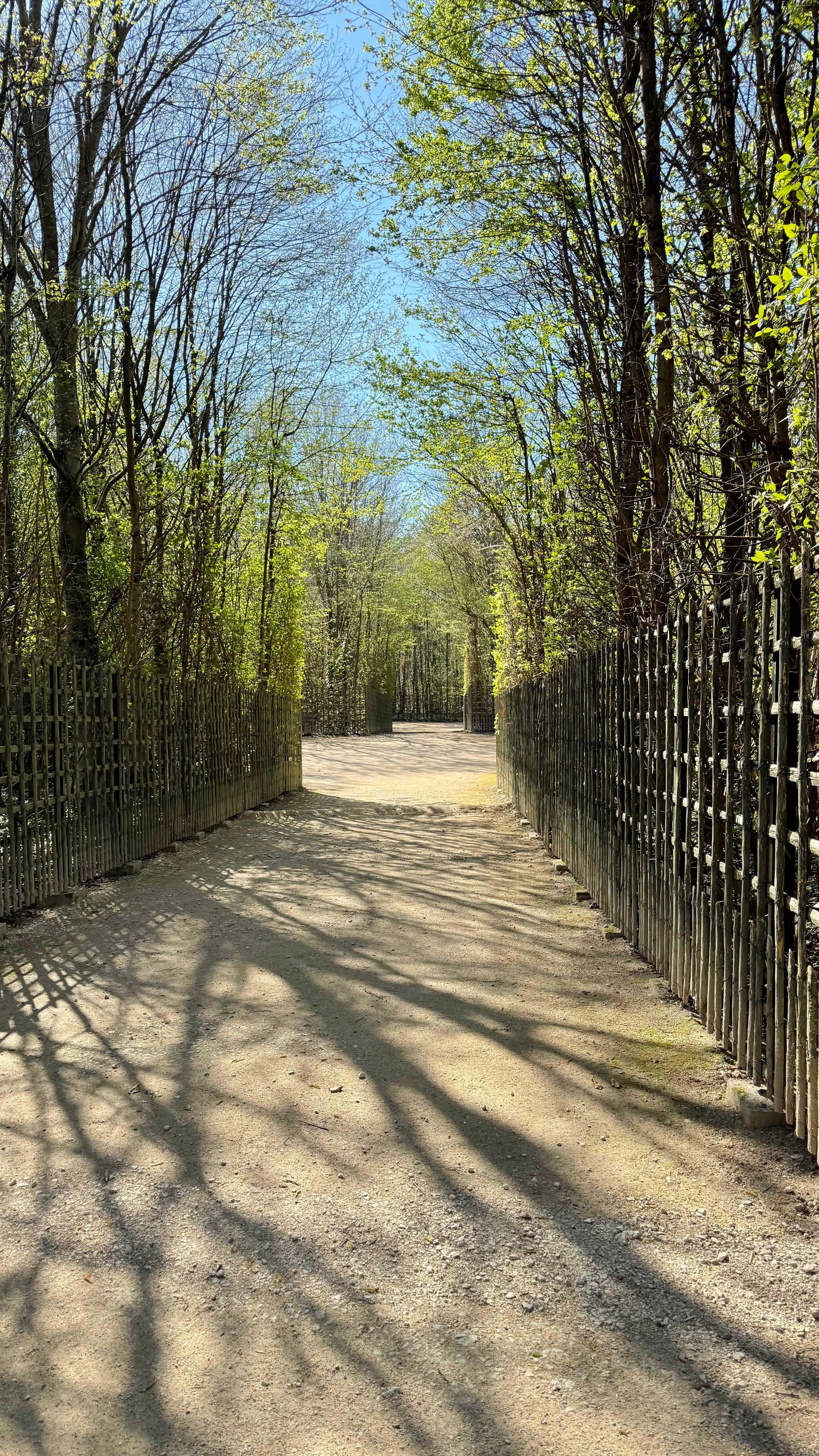 Sunlit Pathway in Versailles Garden · Free Stock Photo