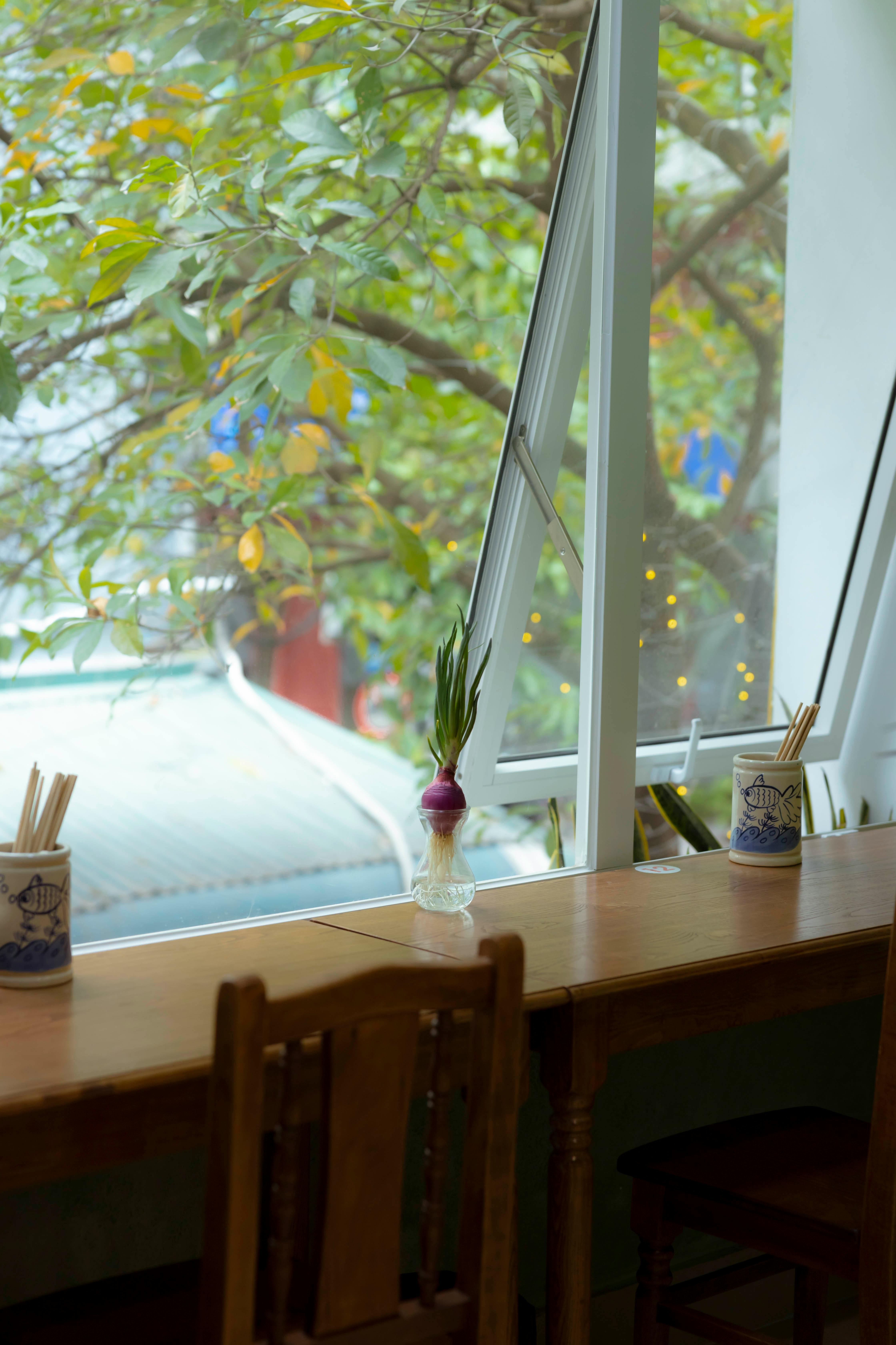 Cozy Cafe Window View with Open Windows · Free Stock Photo