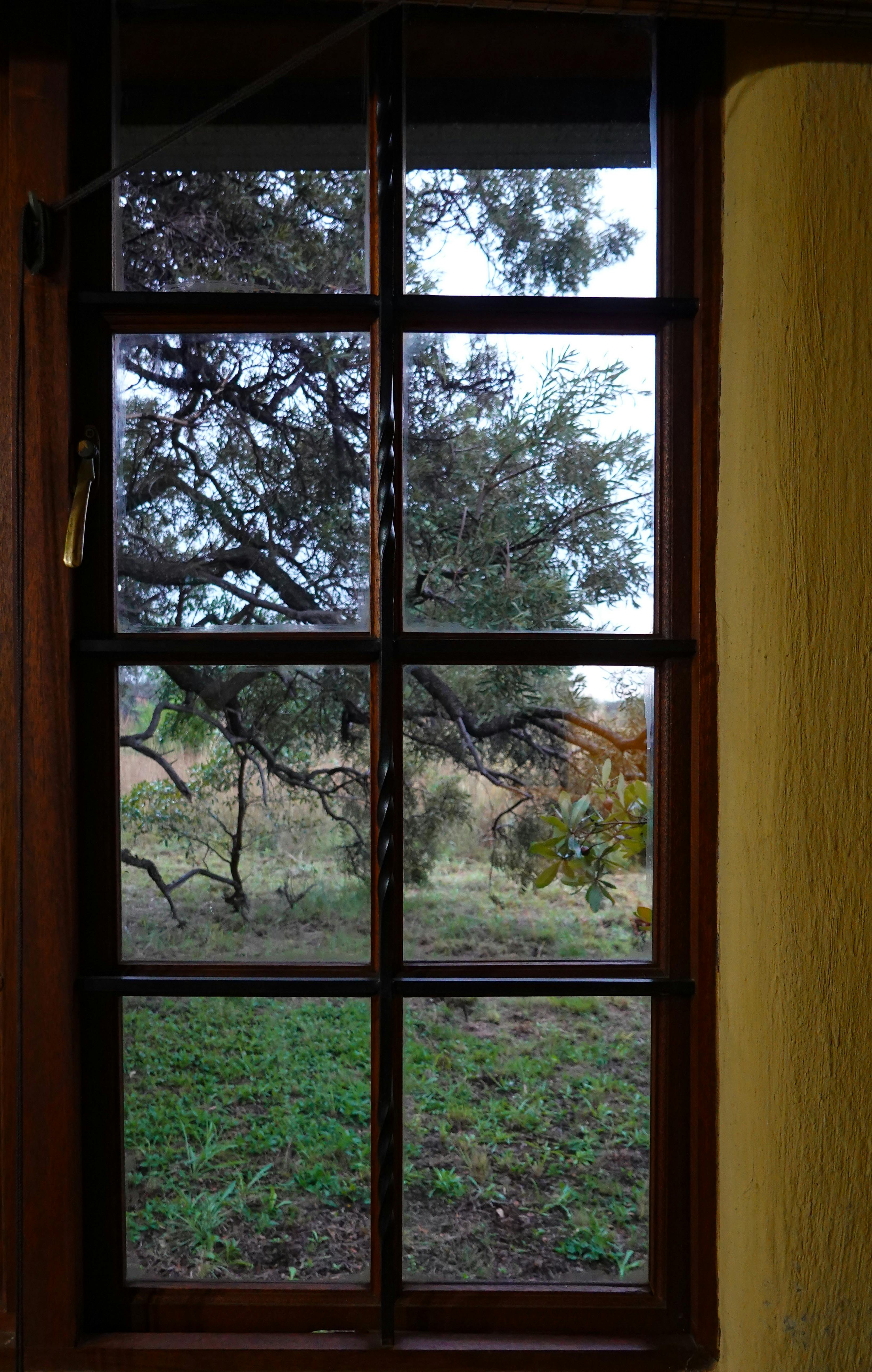Rustic Wooden Window Overlooking Bushveld · Free Stock Photo