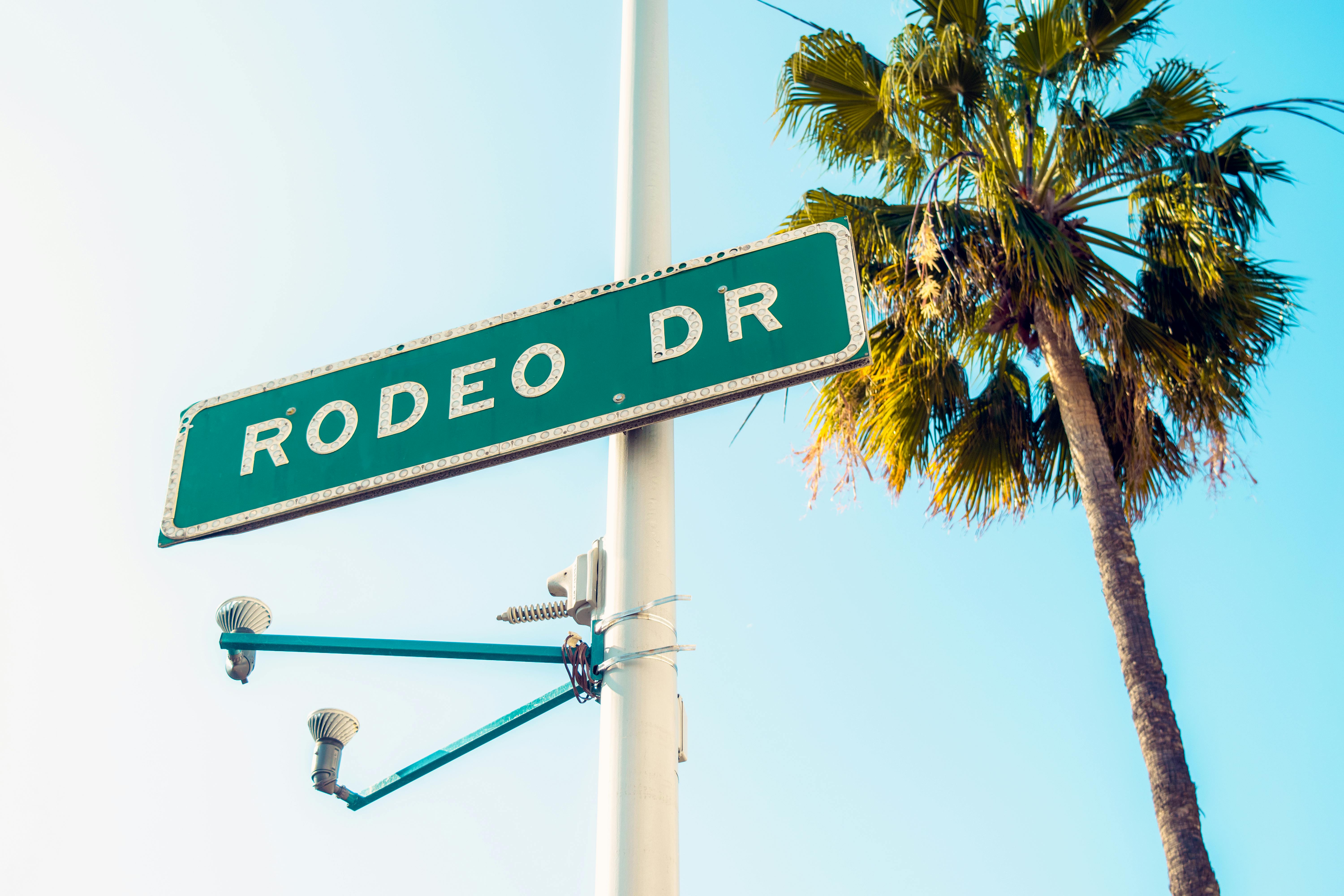 Rodeo Drive Sign with Palm Tree in Beverly Hills · Free Stock Photo