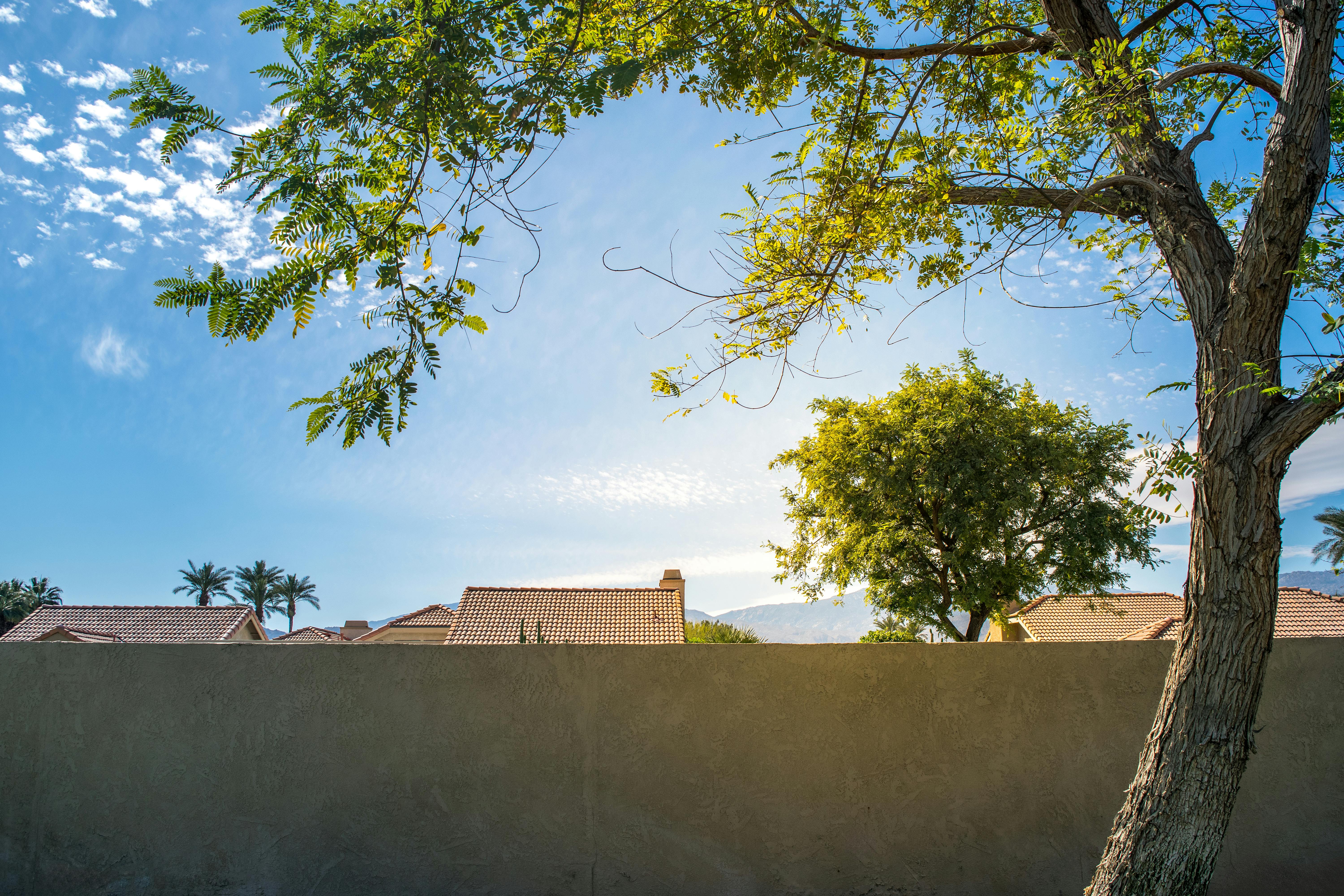 Pemandangan Lingkungan Sekitar Yang Cerah Dengan Pohon Dan Atap · Foto ...