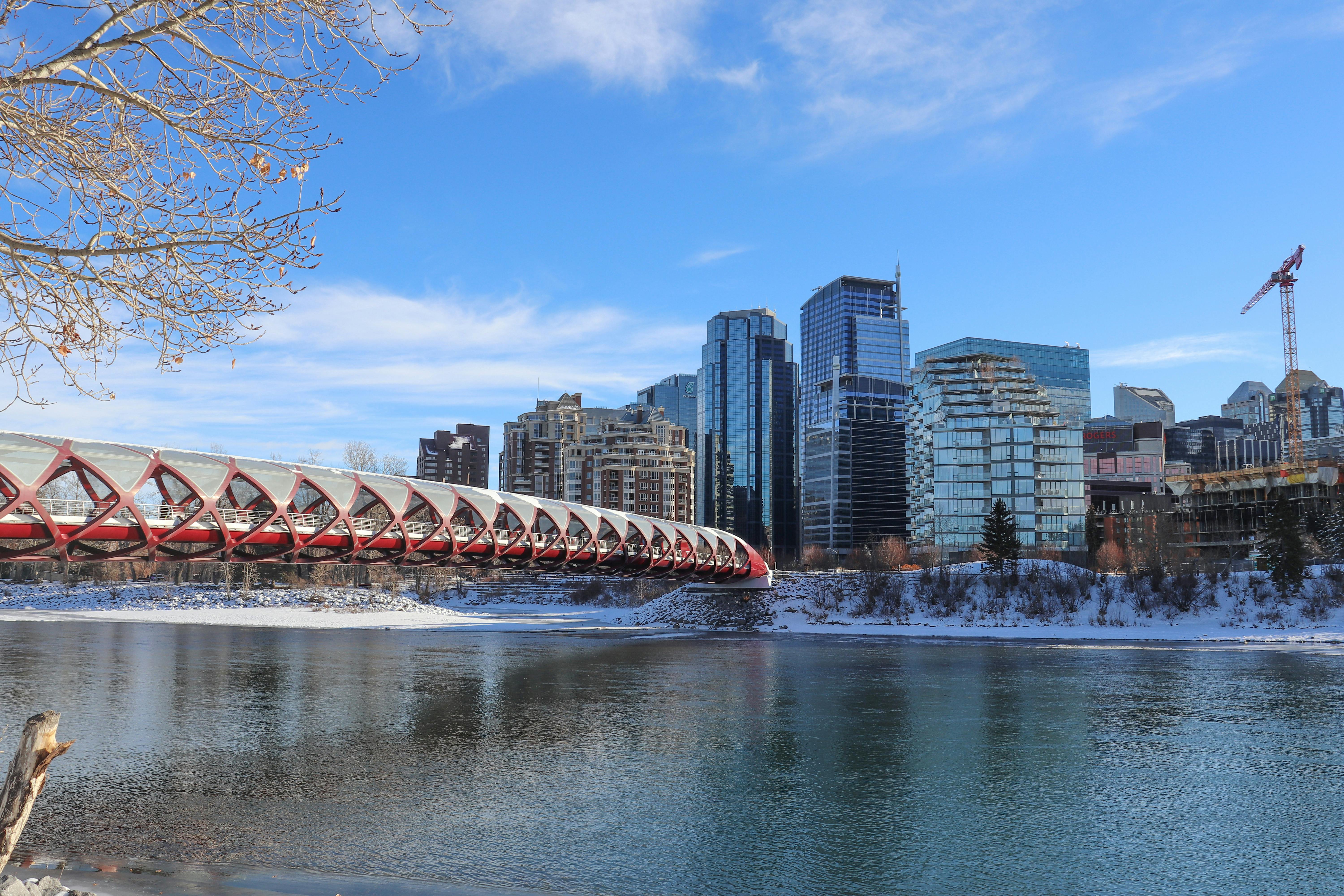 Calgary Peace Bridge Photos, Download The BEST Free Calgary Peace ...